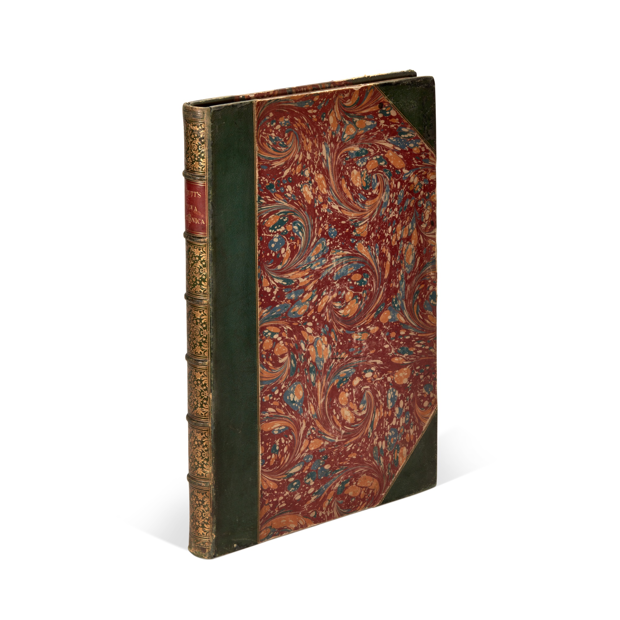 Jacob George Strutt | Sylva Britannica, London, 1826 [but 1840 ...