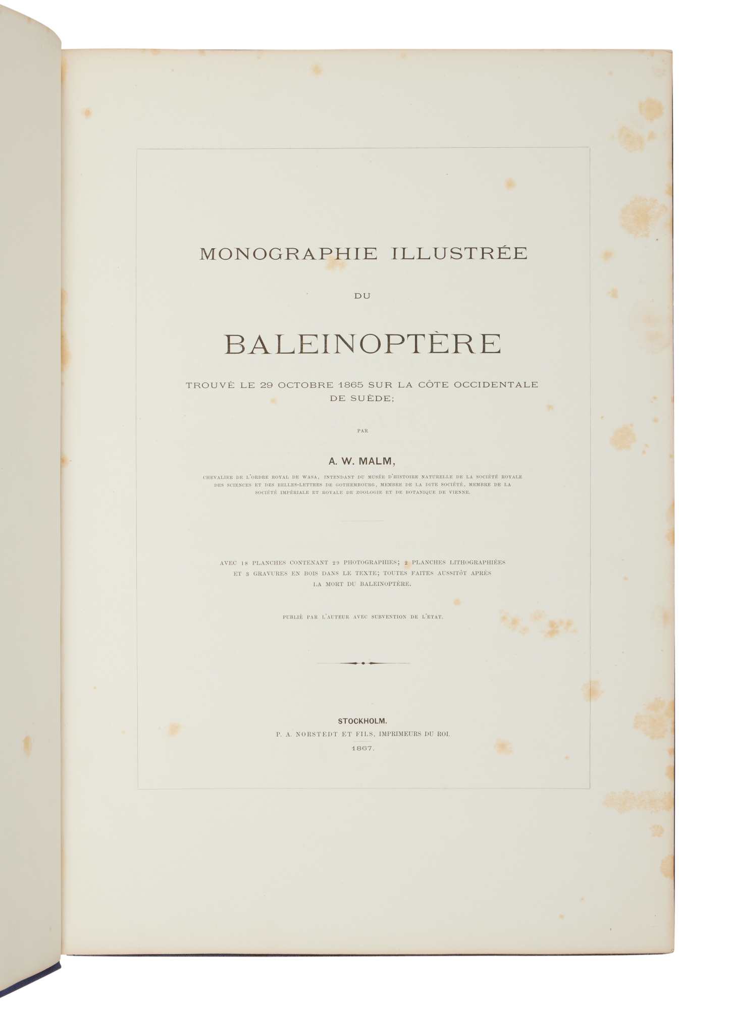 Malm, Auguste Wilhelm | An inadvertent photographic work of art on ...