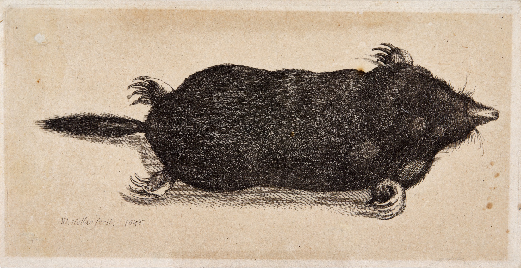 A Poodle; The Dead Mole; and The Dead Hare (Three Works) (Pennington ...