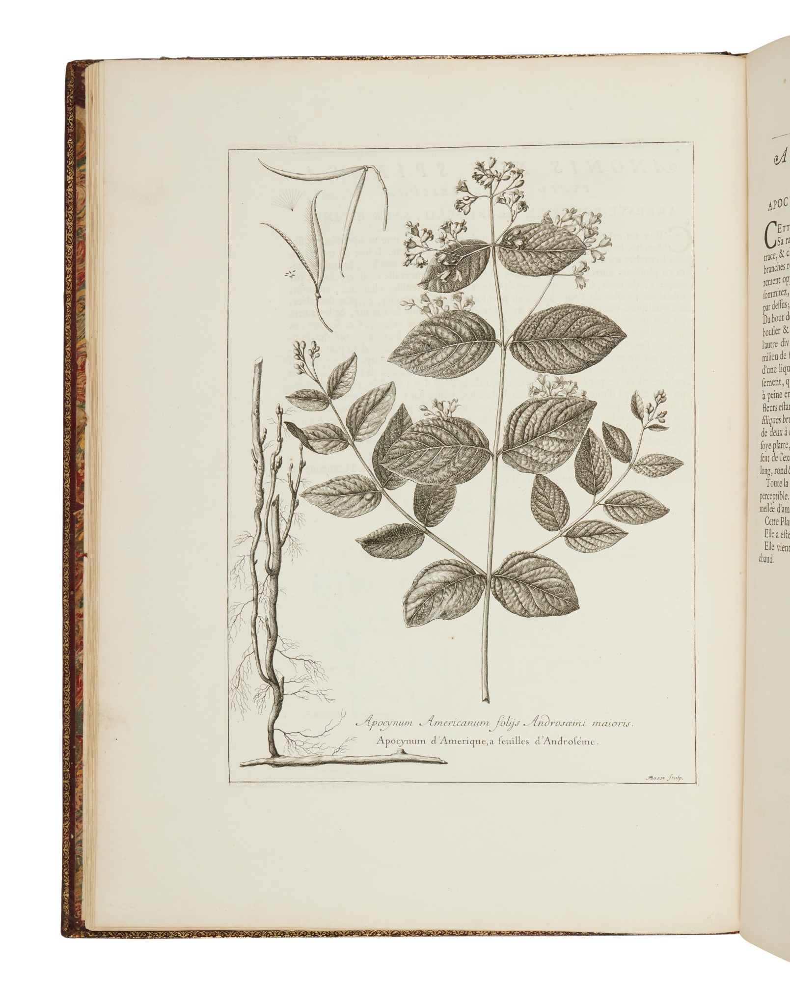Dodart, Dionys | "one of the great books in the history of botanical ...