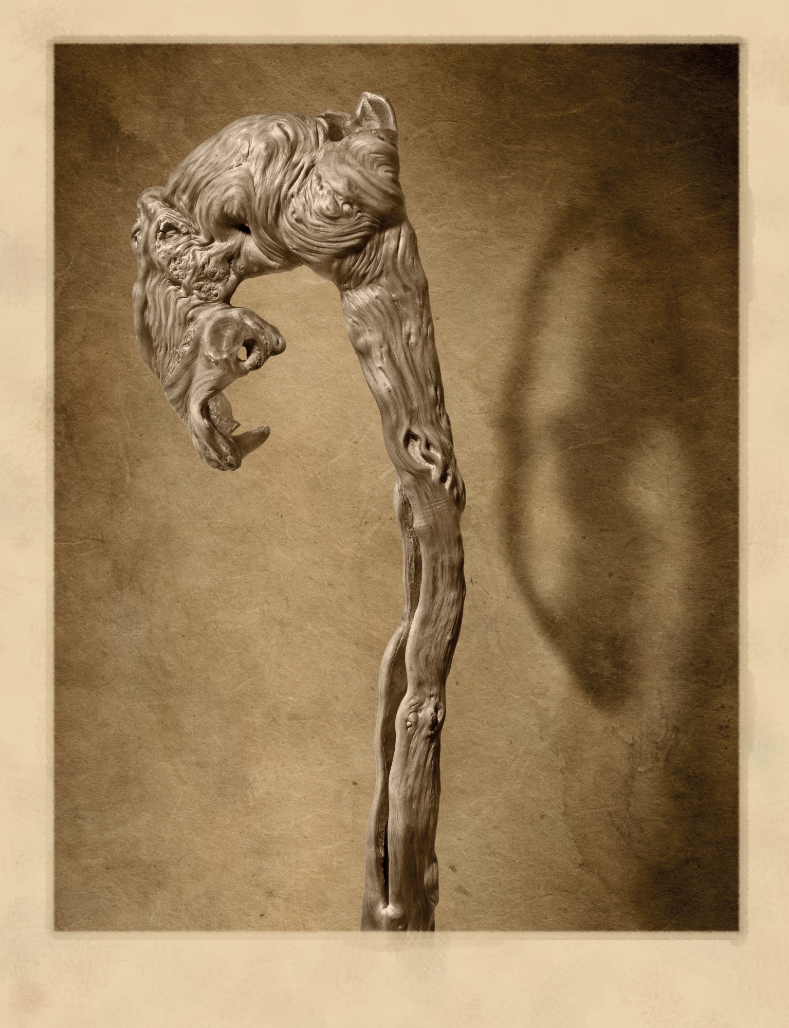 A nanmu root 'lingzhi' ruyi sceptre, Qing dynasty | 清 楠木靈芝隨形如意及水松石山房主人 ...