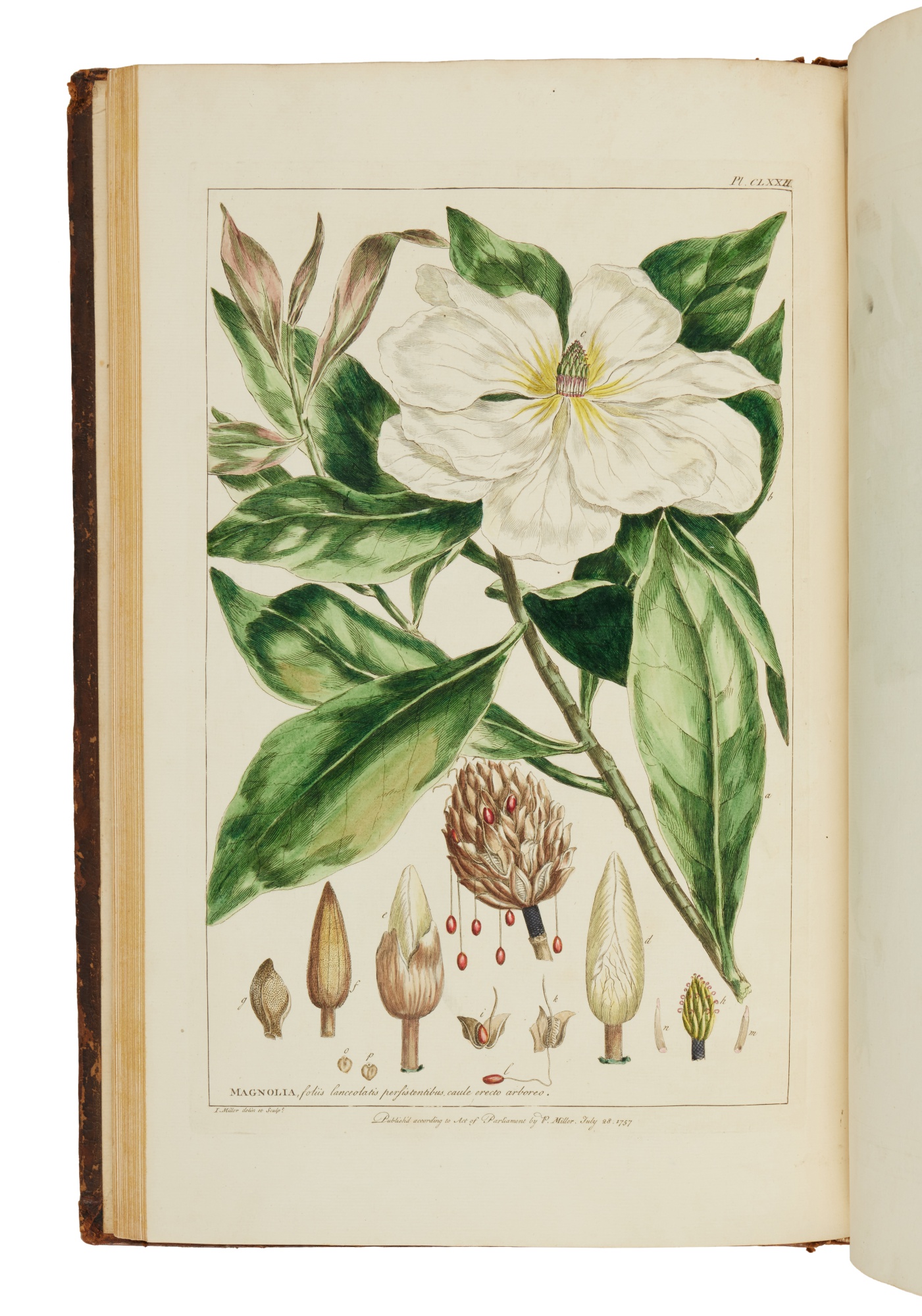 Miller, Philip | The illustrated supplement to Miller's Gardeners ...