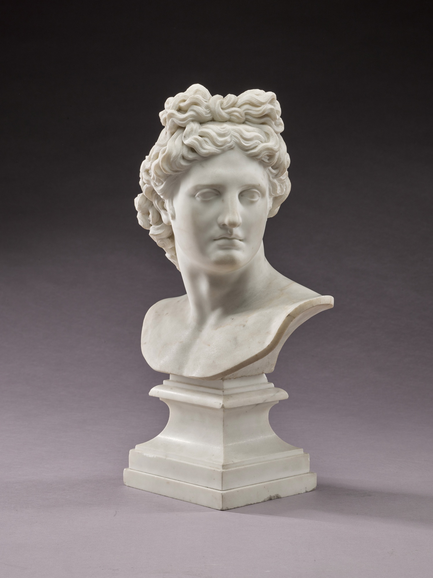 Bust of the Apollo Belvedere | European Sculpture and Works of Art ...