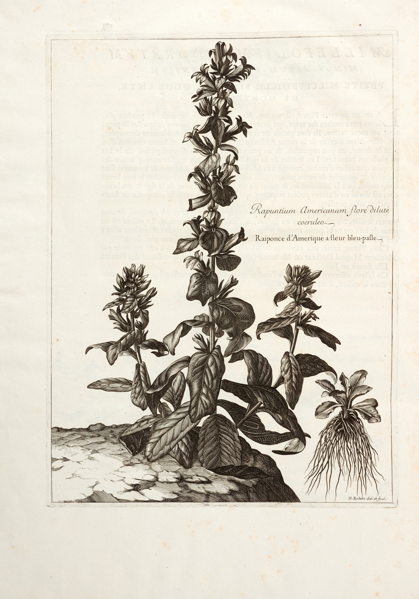 Denis Dodart | Memoires pour servir a l'histoire de plantes, 1676, red ...