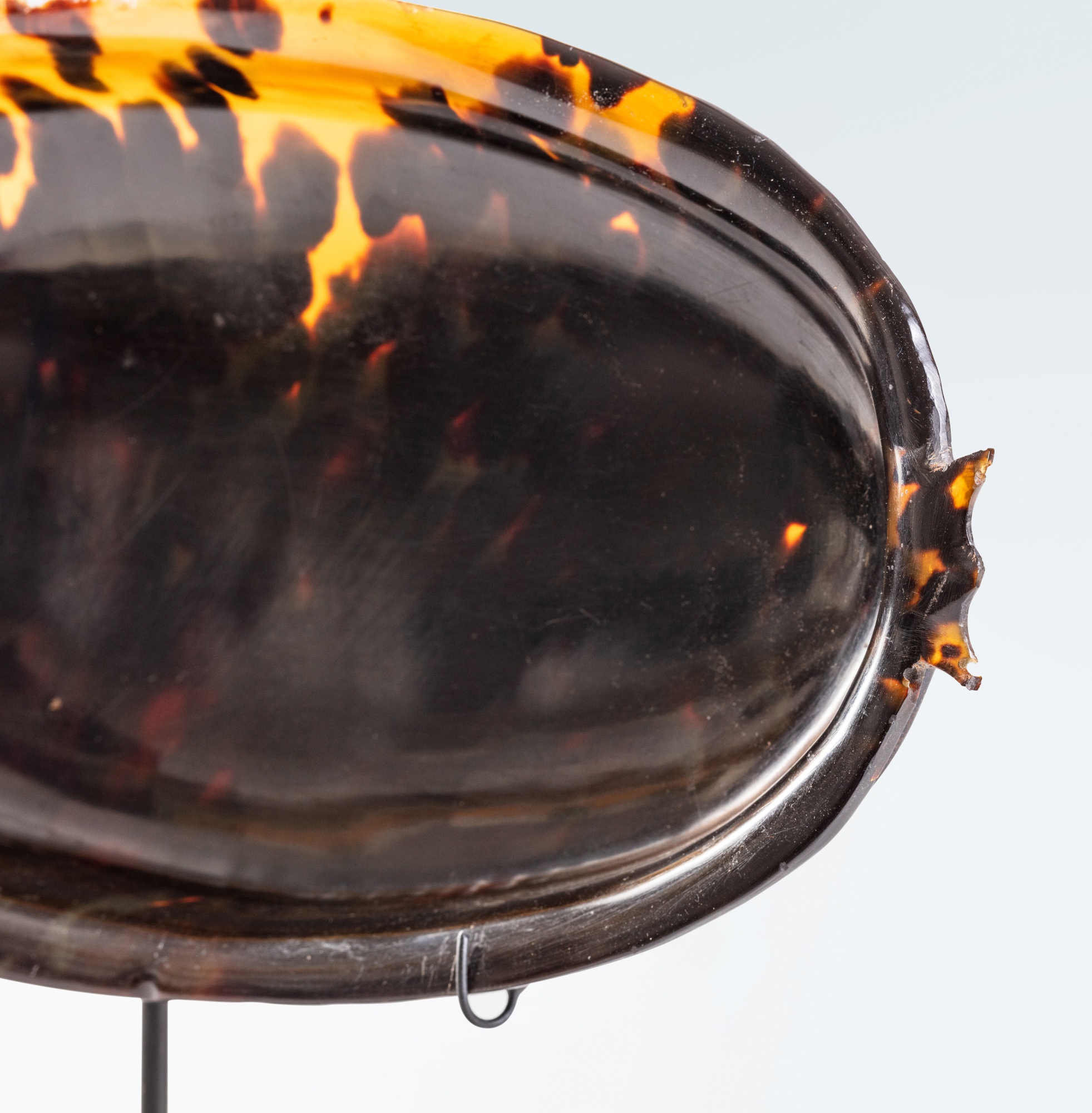 Plat tolúk, Îles Palaos, Îles Carolines | Palaos Islands tolúk Plate ...