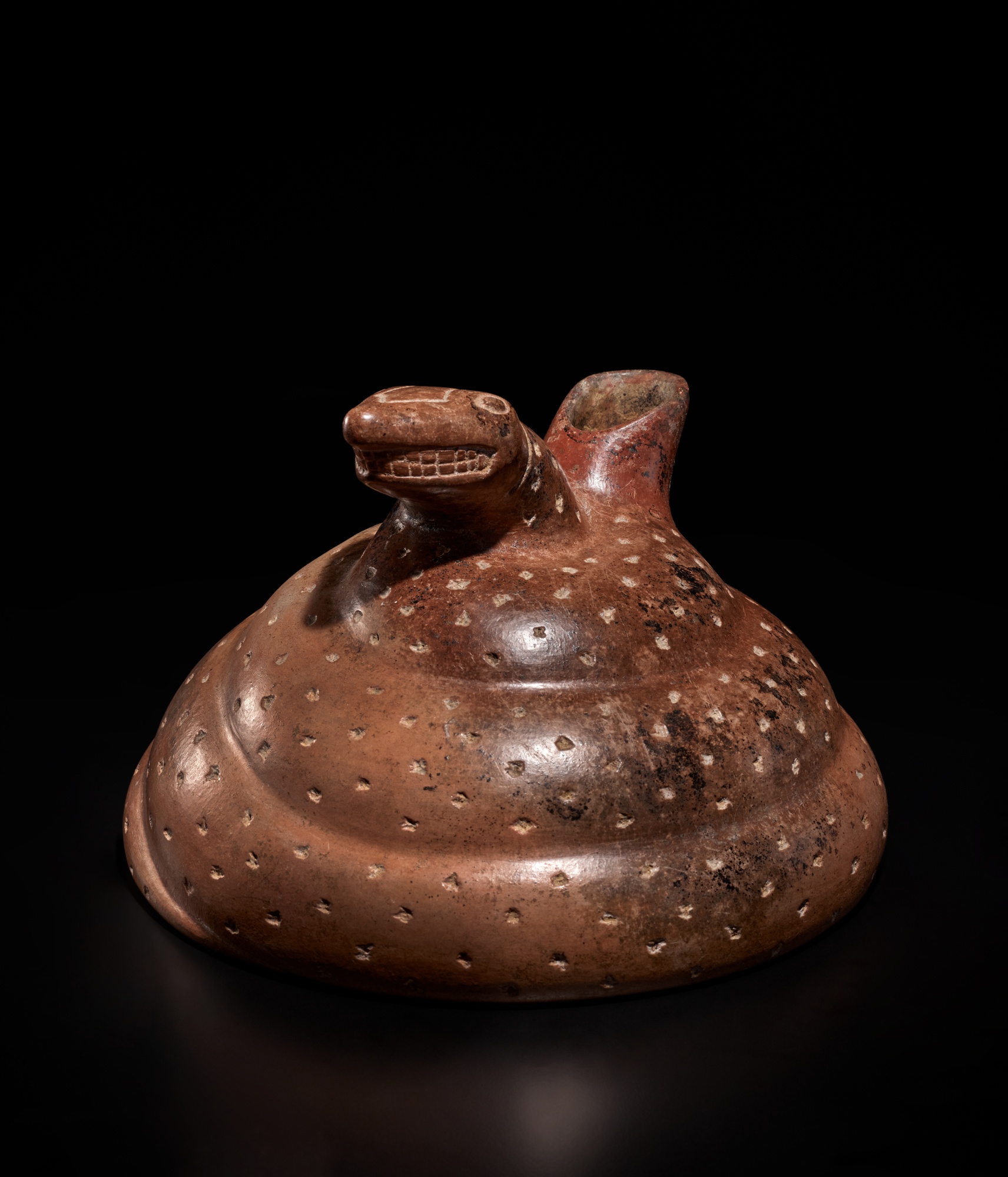 Colima Coiled Snake | Art of Africa, Oceania, and the Americas ...