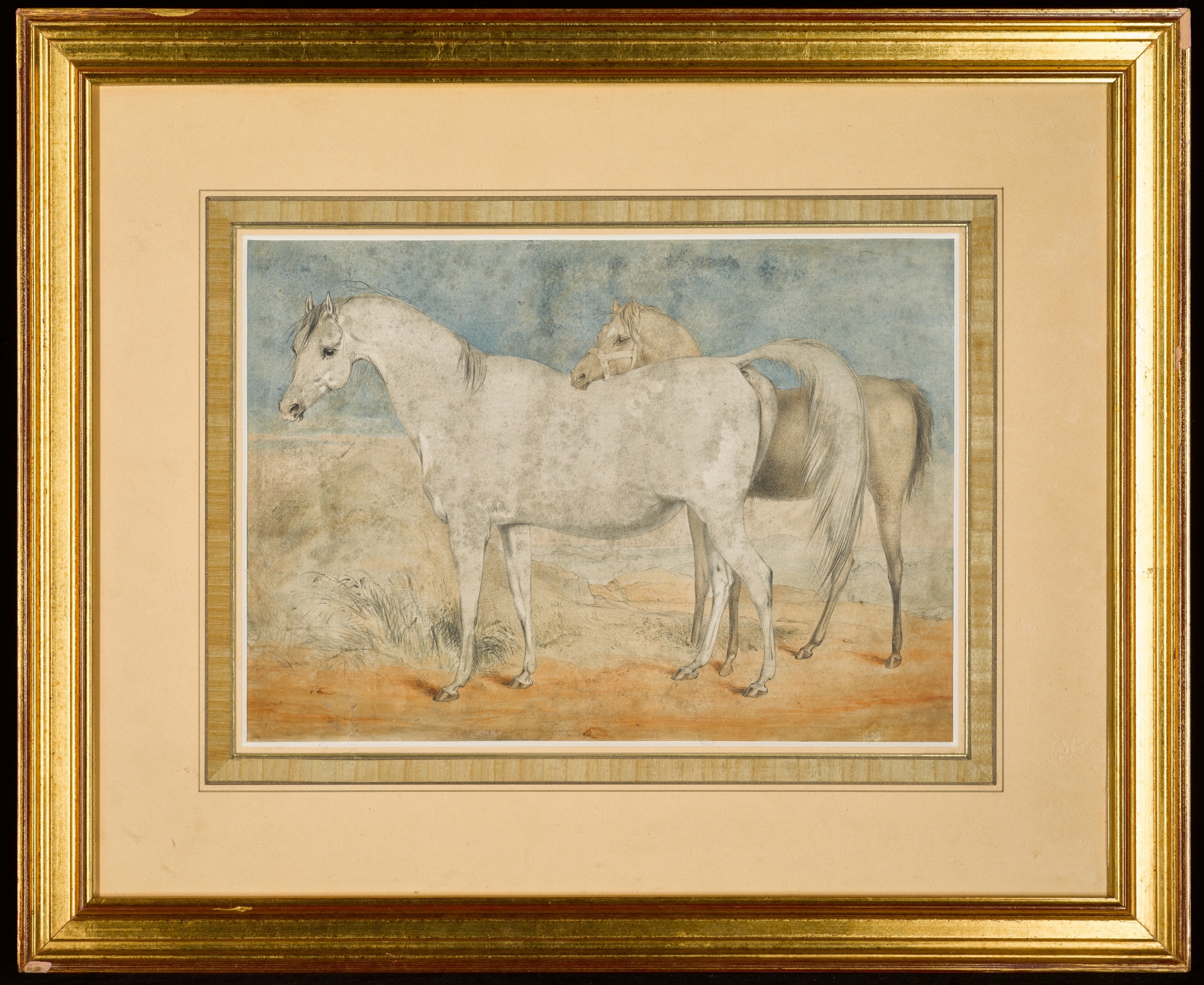 A pair of watercolours of Arab horses, circa 1840s | Kenneth Neame ...