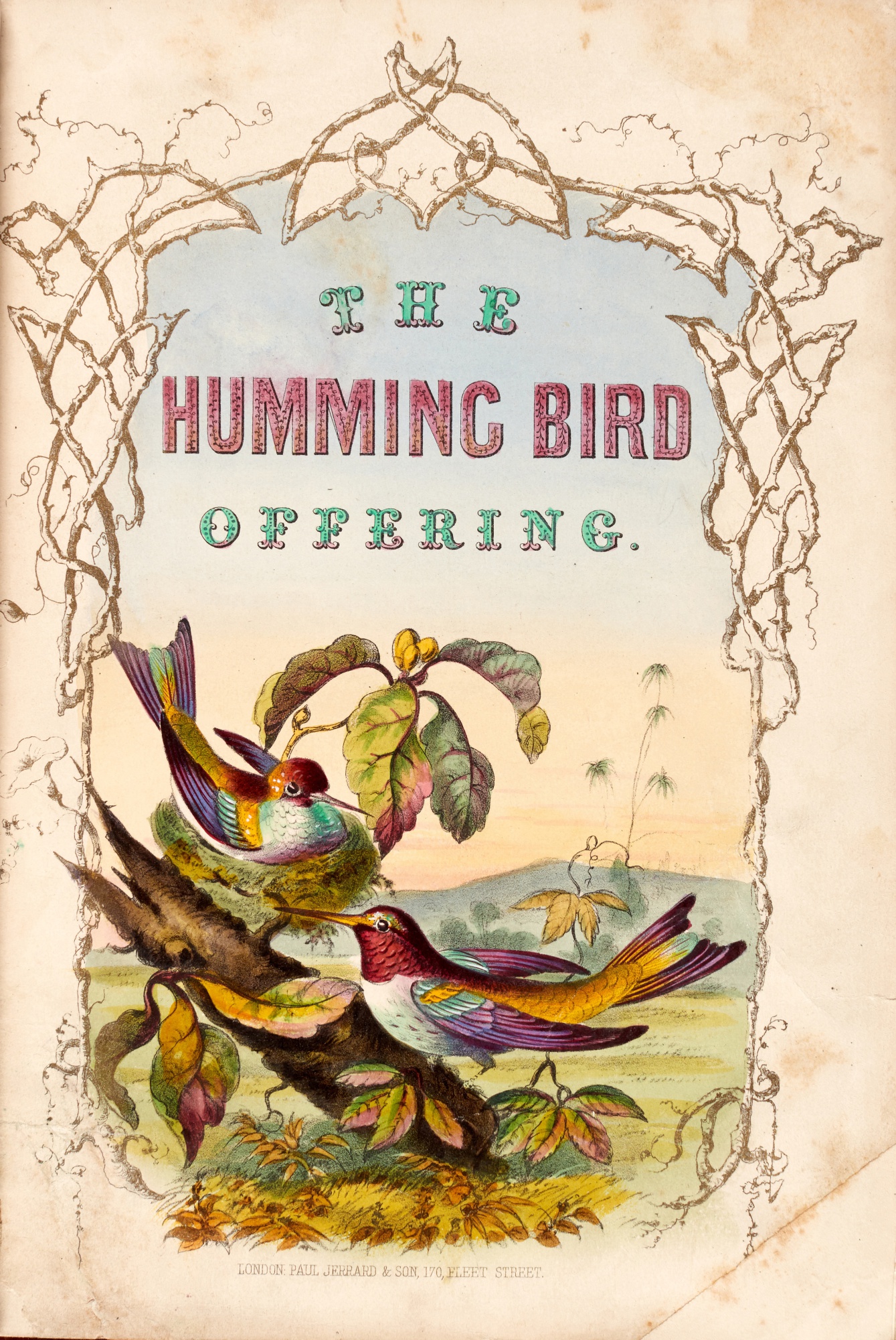 Paul Jerrard | The humming bird offering, London, [c.1850], original ...