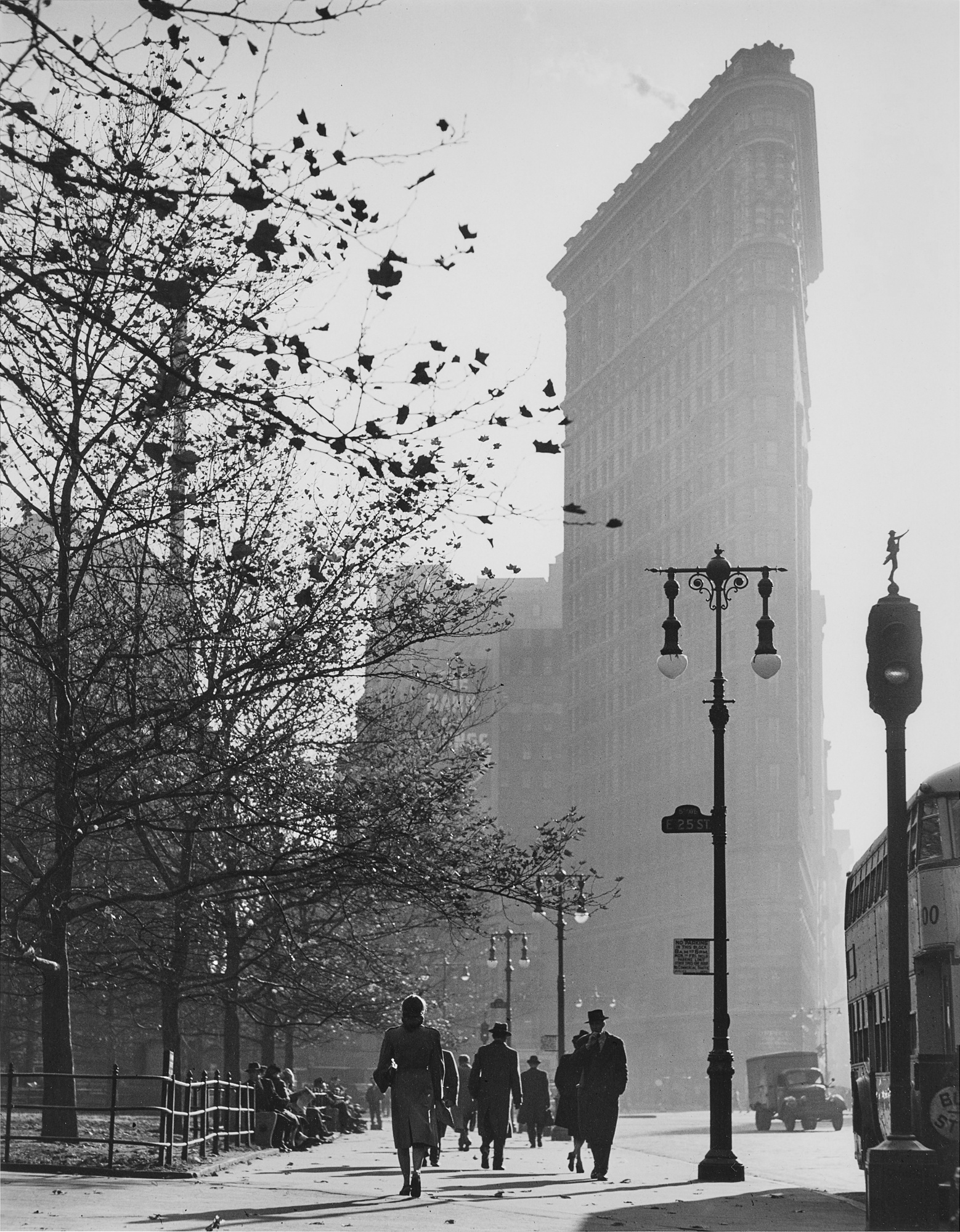 Selected Images of New York (comprising Flatiron Building, Forest ...