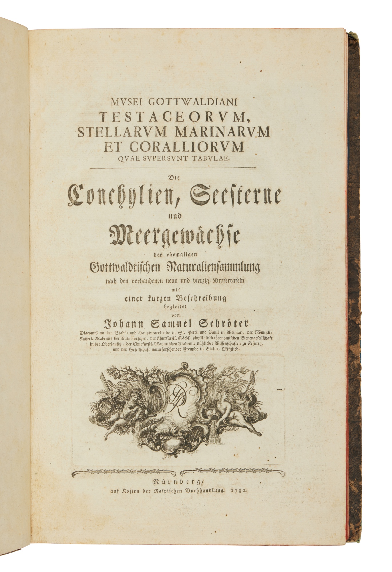 Schröter, Johann Samuel | The conchological portion of the celebrated ...