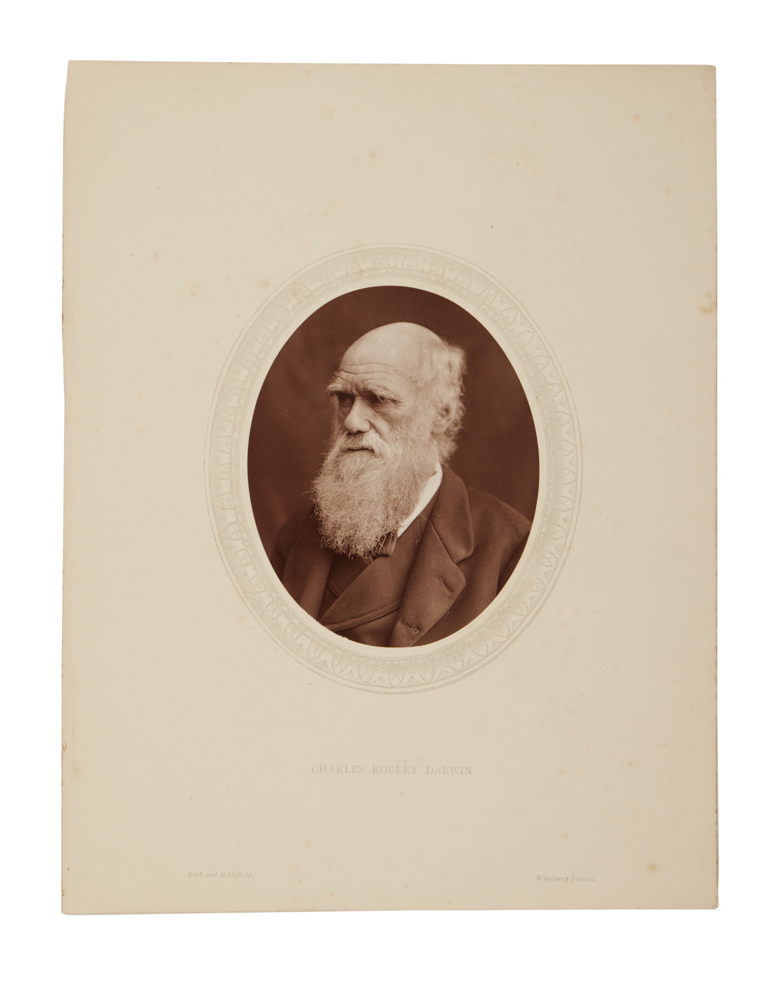 (Darwin, Charles) | An exceptional group of photographic portraits, one ...