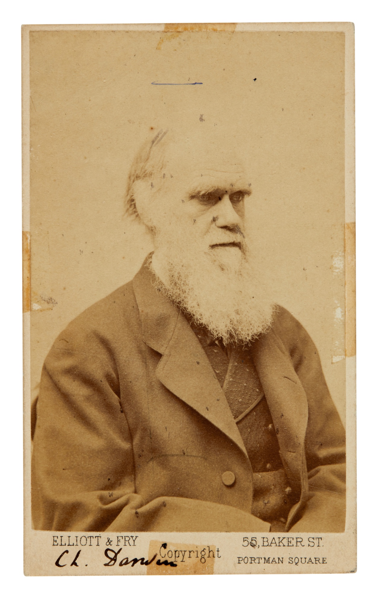 Charles Darwin | Carte de visite, signed, with accompanying letter from ...