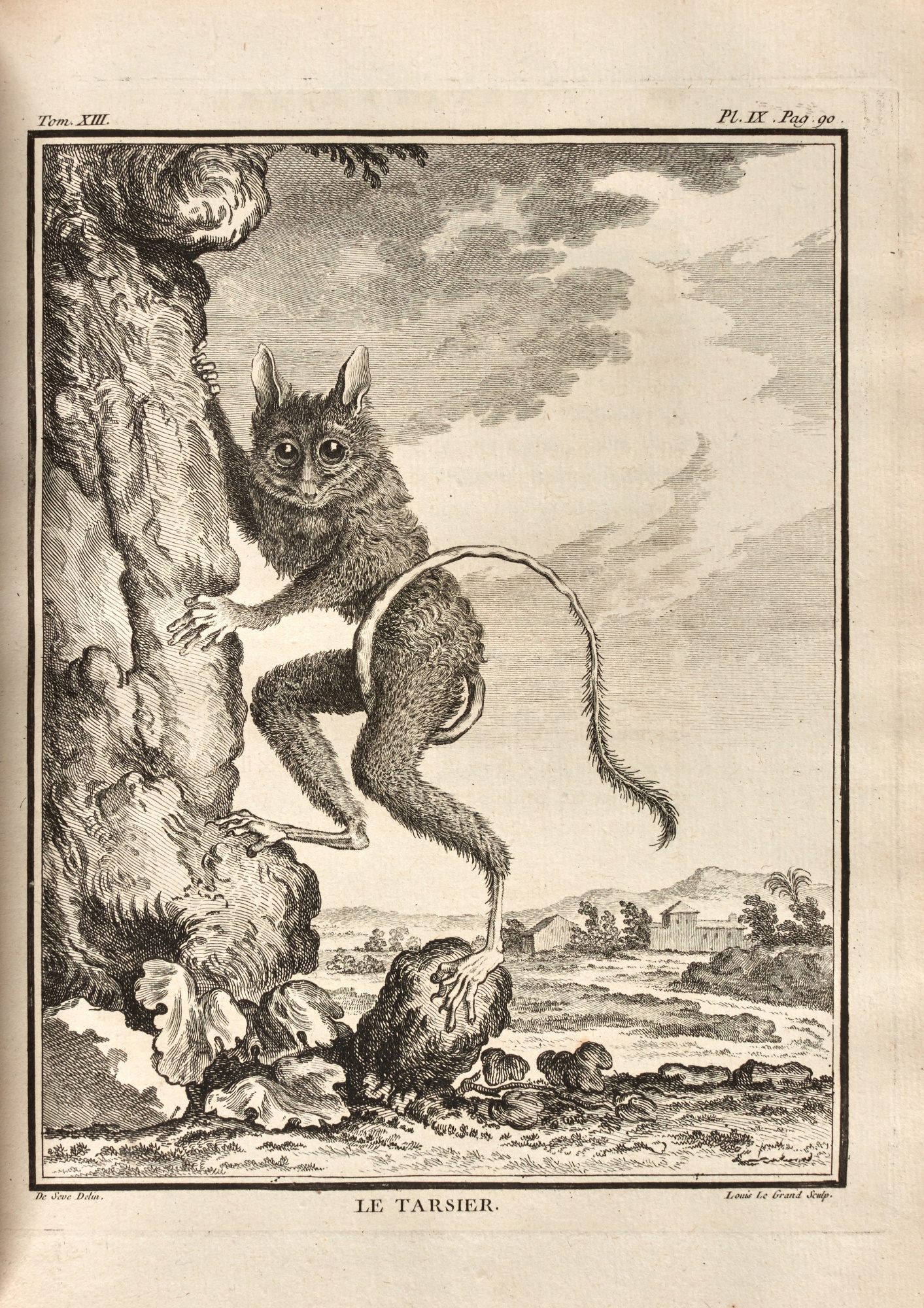 Georges-Louis Leclerc, comte de Buffon | Oeuvres Complettes, Paris ...