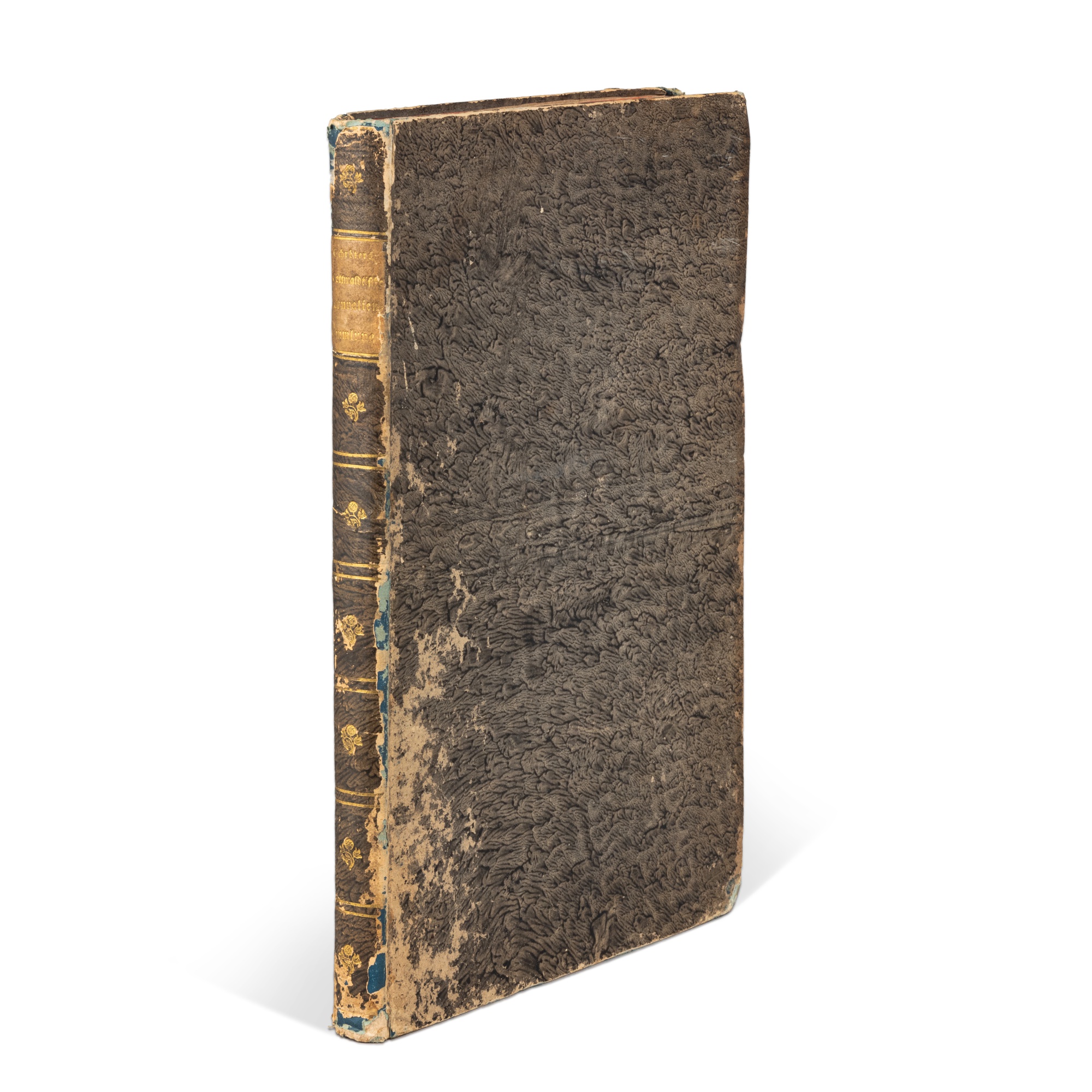 Schröter, Johann Samuel | The conchological portion of the celebrated ...