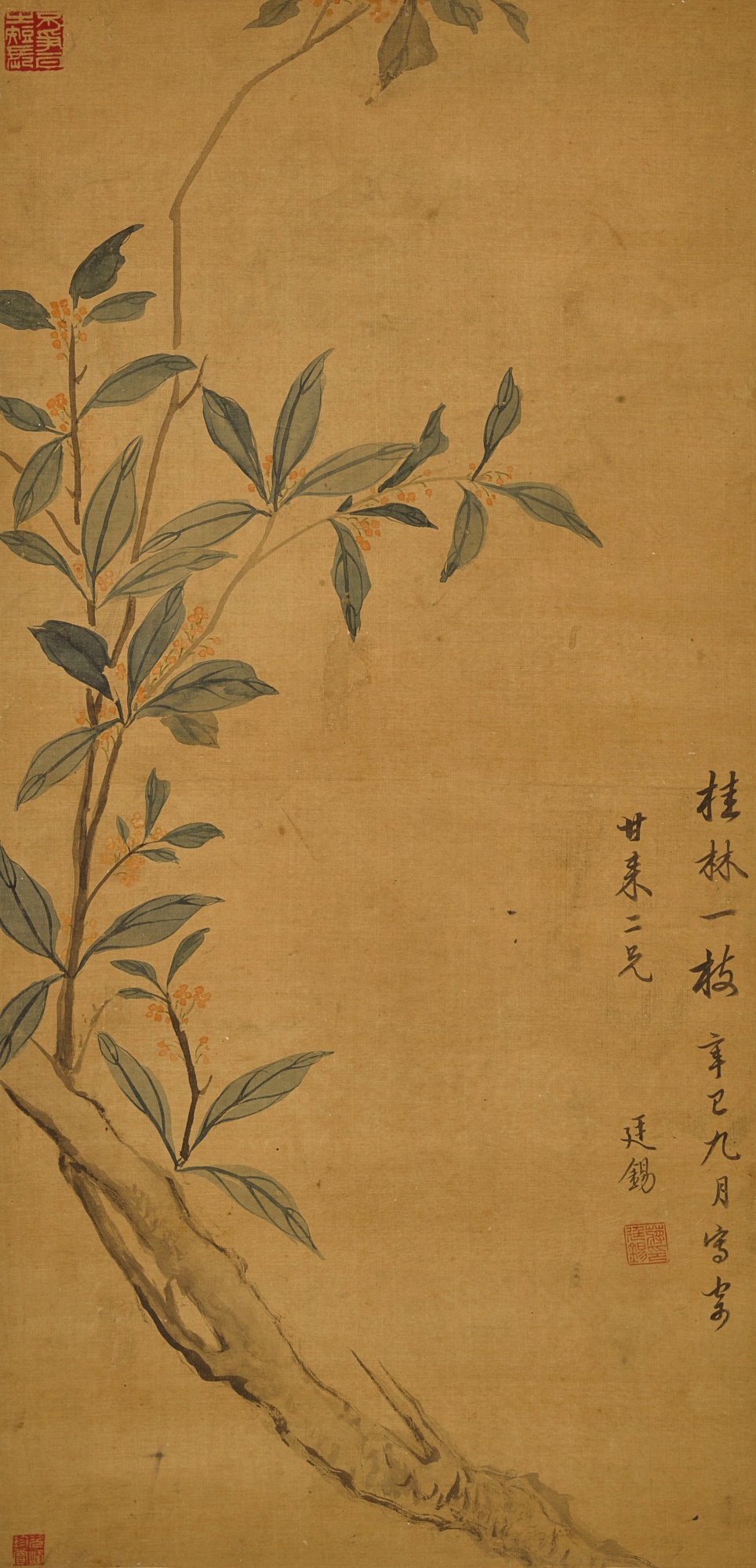 Jiang Tingxi 1669-1732 蔣廷錫 | Osmanthus 桂林一枝 | Fine Classical Chinese ...