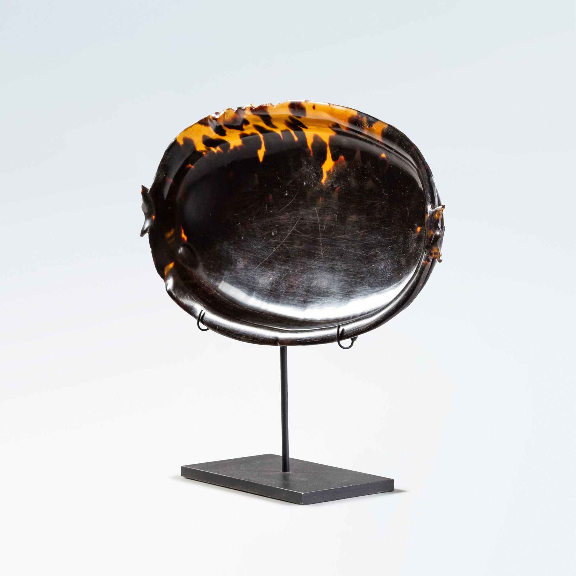 Plat tolúk, Îles Palaos, Îles Carolines | Palaos Islands tolúk Plate ...