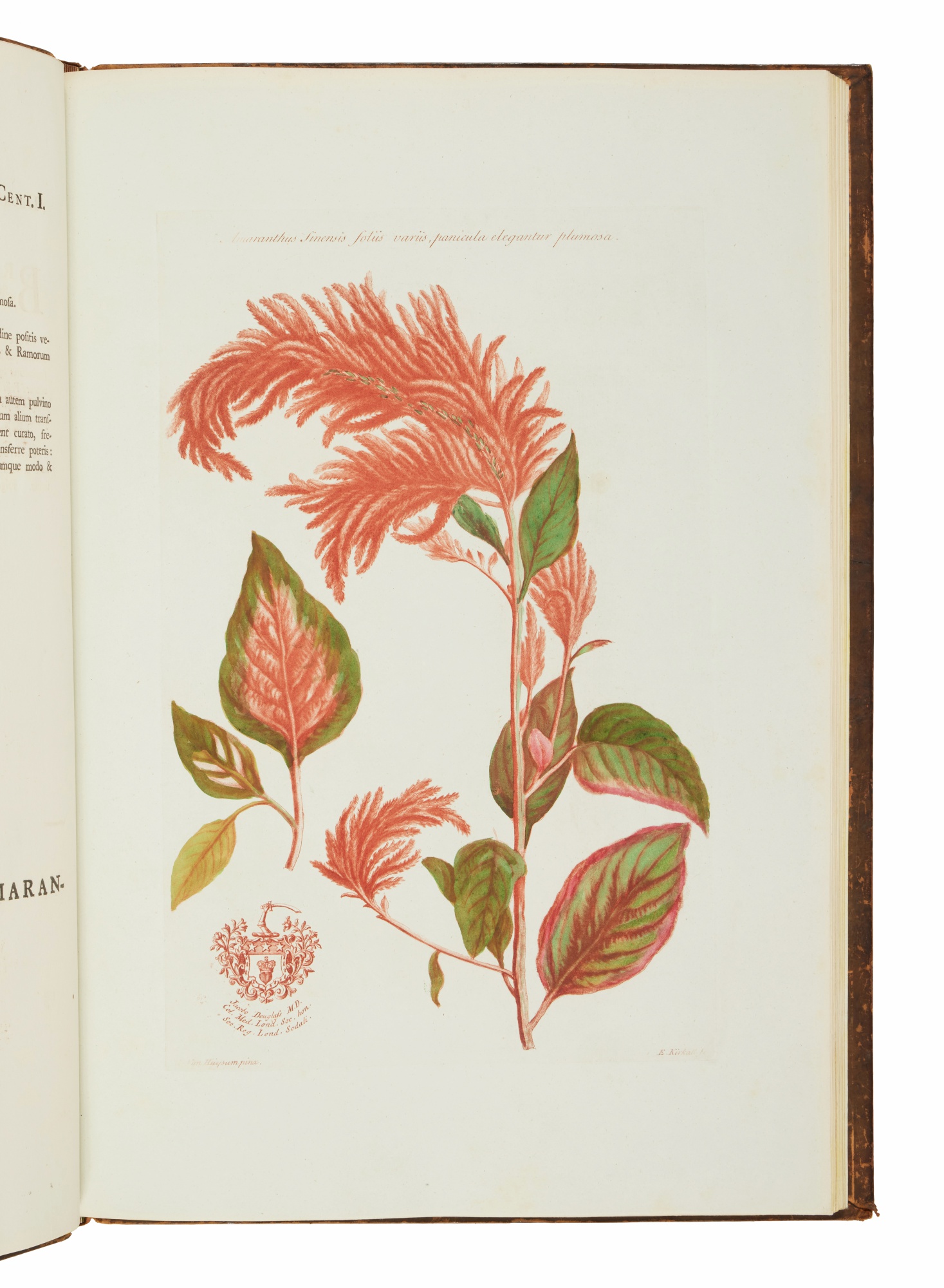 Martyn, John | The Rous-Fitzwilliam-Hesketh copy of the first botanical ...