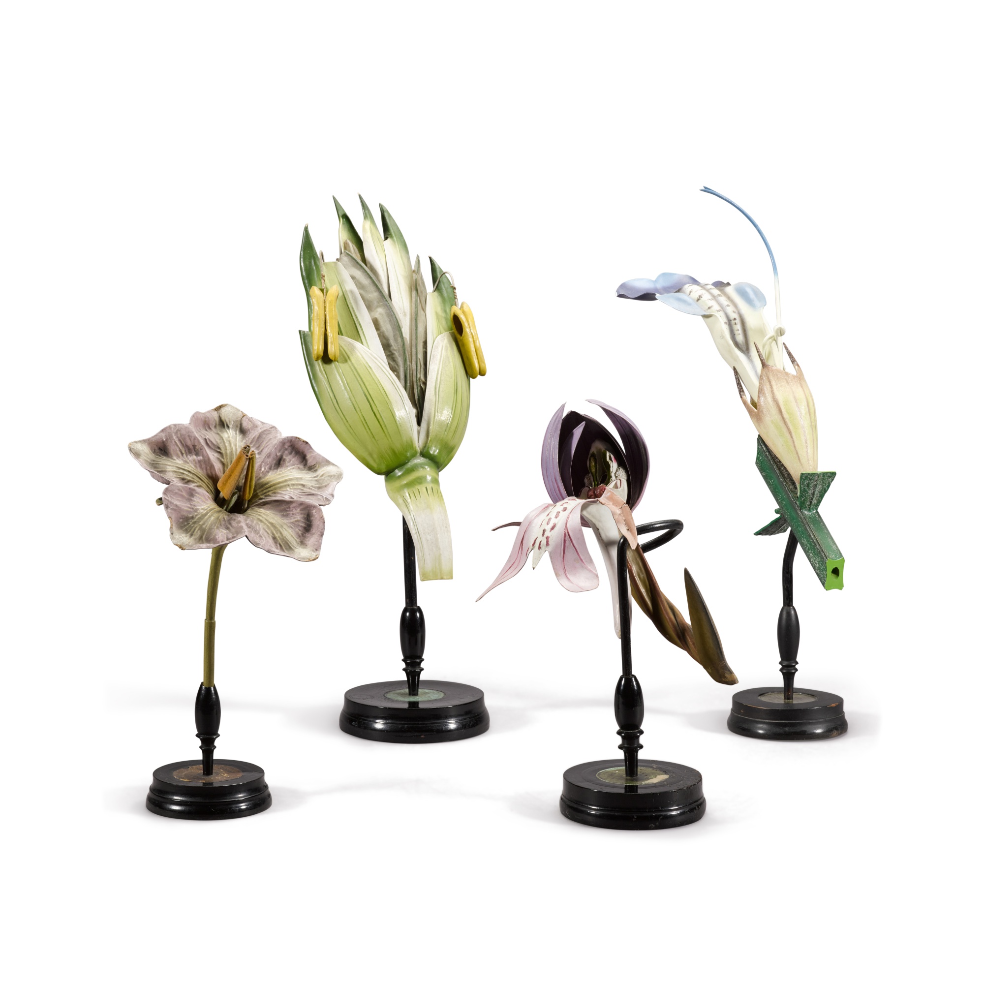 An assorted group of four didactic papier mache botanical models, Dutch ...