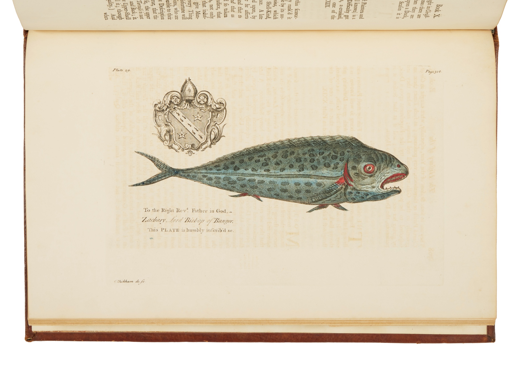 Hughes, Griffith | One of the most important early botanical treatises ...