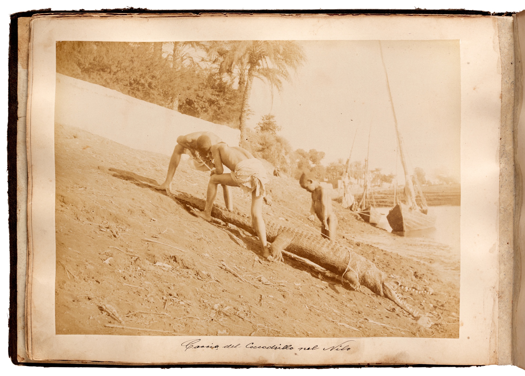 Egypt | Album of photographs of Egypt including Suez, and Assab, c ...