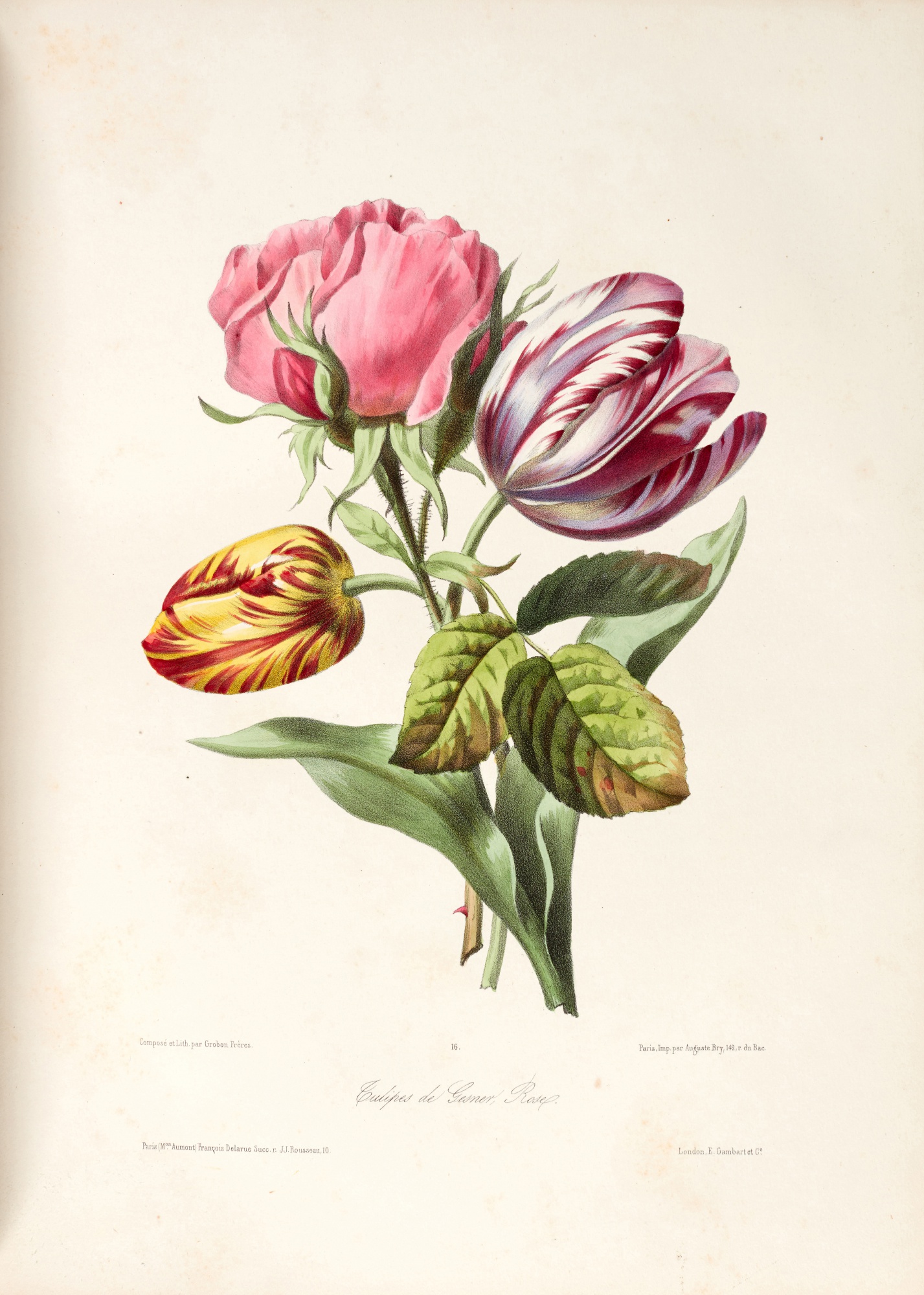 Grobon Frères | Nouvelle collection de bouquets, Paris, [c.1850], green ...