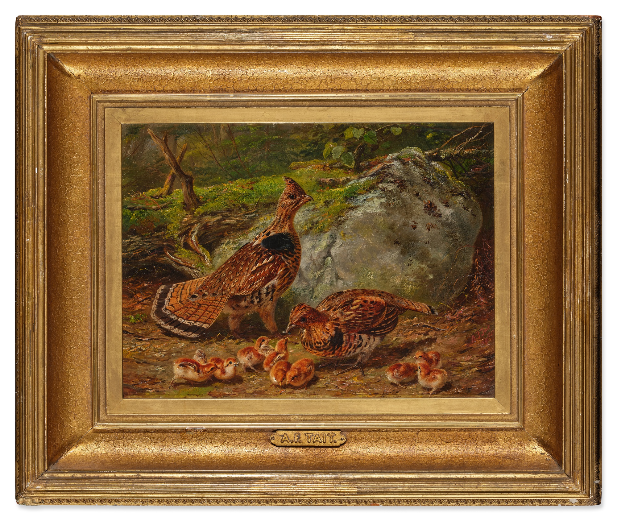 Ruffed Grouse | Glorious America: The Wolf Family Collection | 2023 ...
