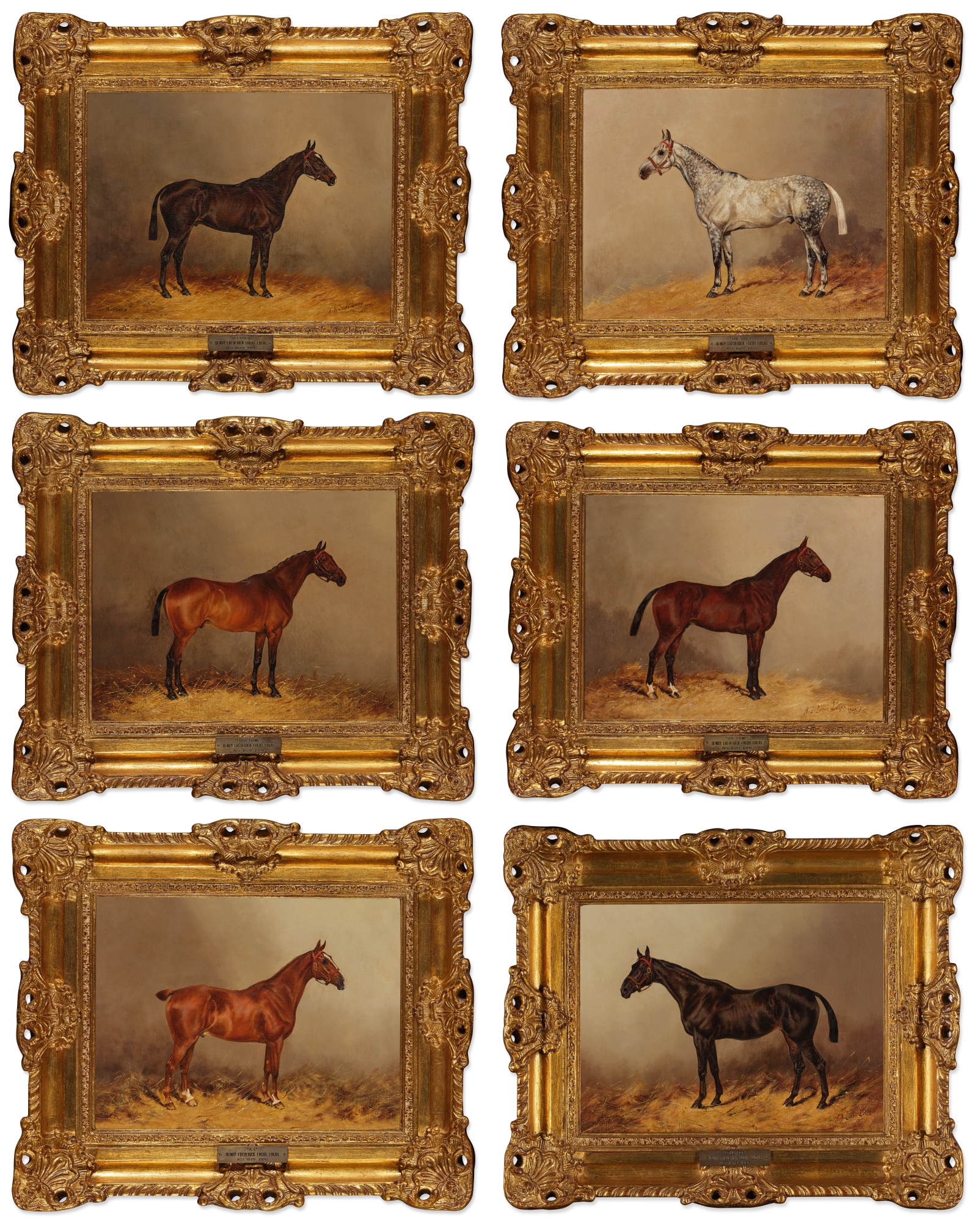 Lollypop; The Lamp; The Grey; A. 1.; Lord Howe; Beecher | Hyde Park ...