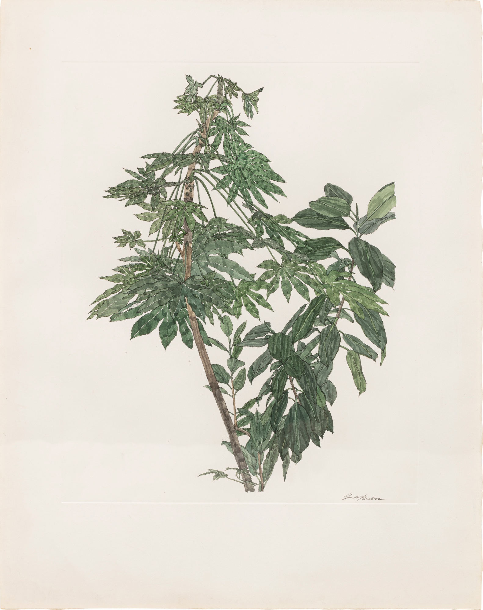 Sans titre | Collection Sam et Lilette Szafran…& friends | 2023 | Sotheby's