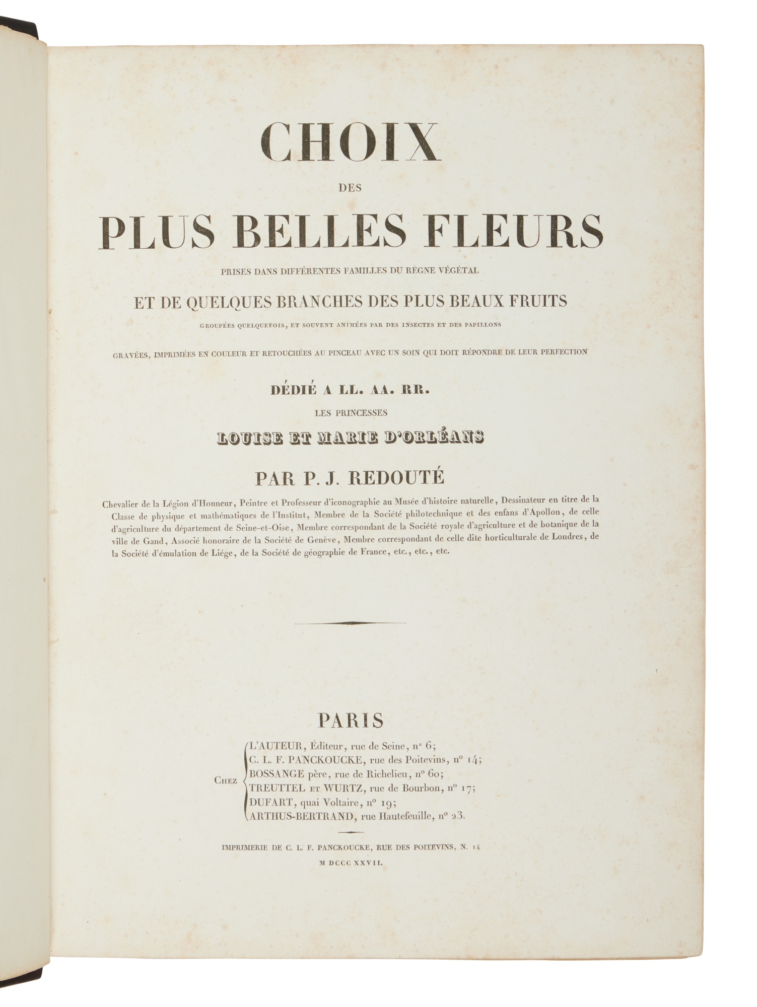 Redouté, Pierre-Joseph | "But would a rose by any other name would ...