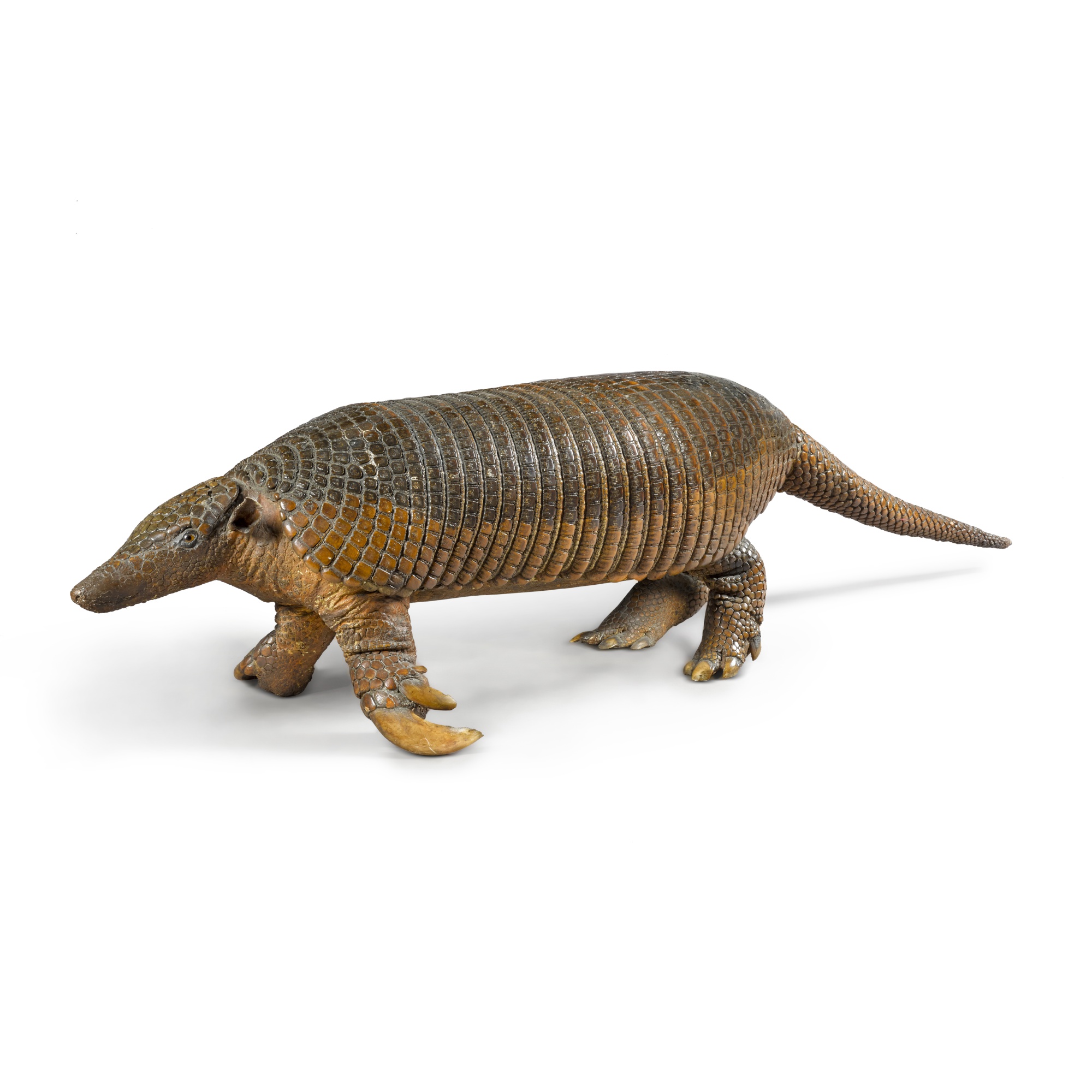 A rare Giant Armadillo (Priodontes maximus), late 19th century | Emma ...