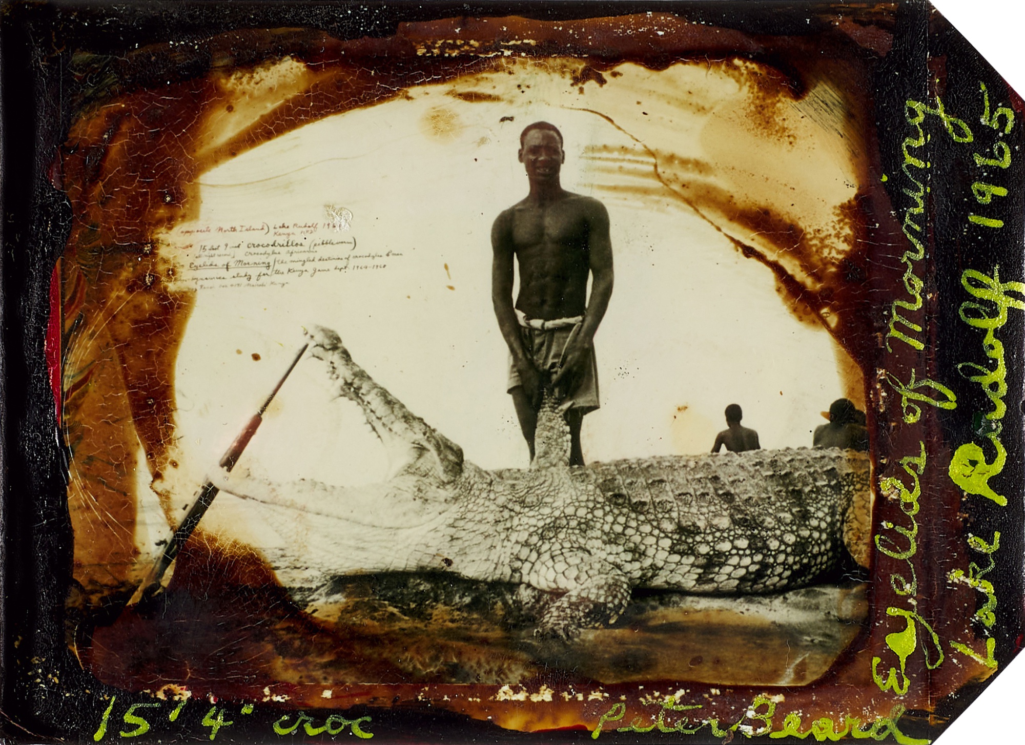 '15'4" Croc, Eyelids of Morning, Lake Rudolf, 1965' | Photographs ...