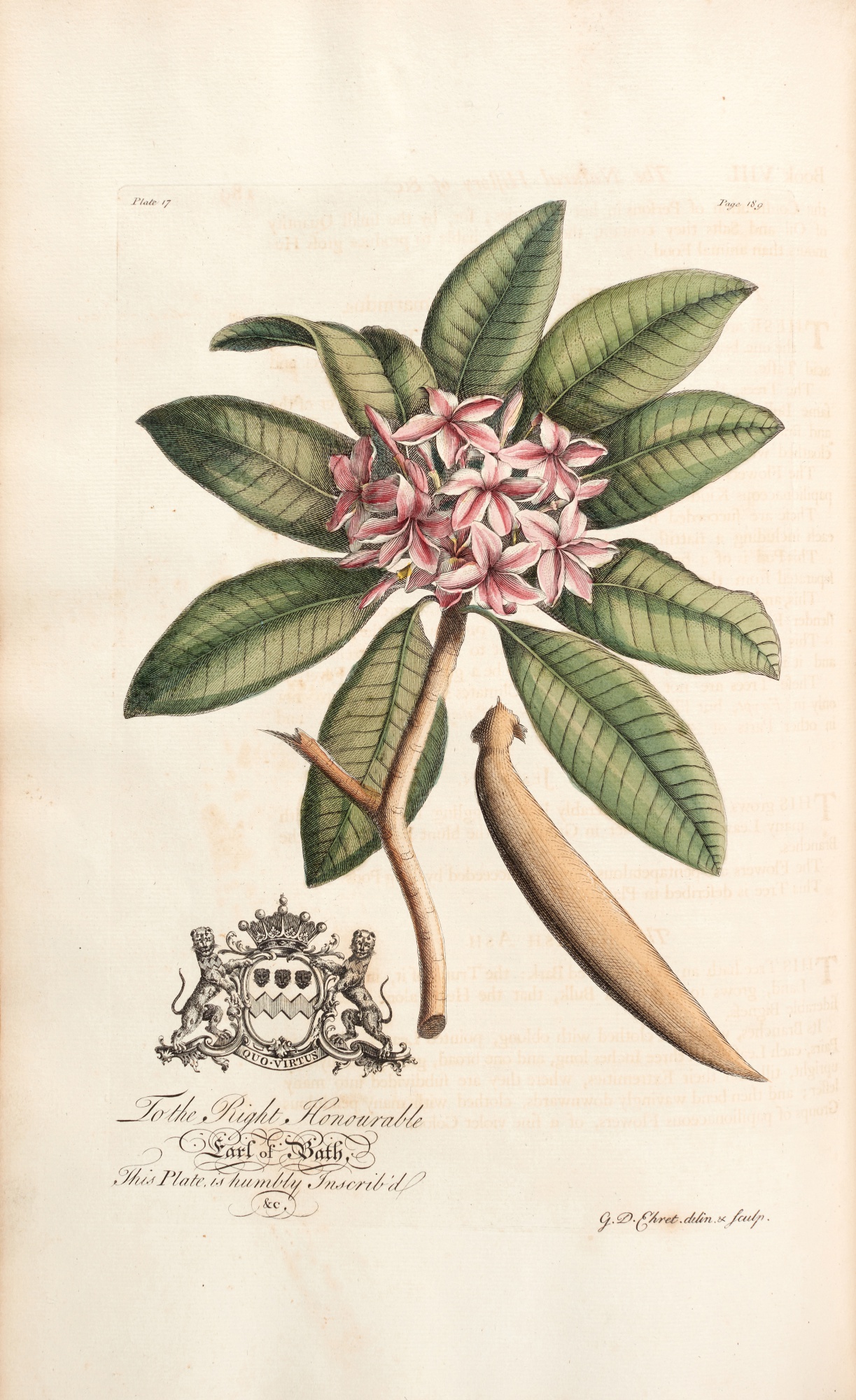 Griffith Hughes | The natural history of Barbados, London, 1750 ...