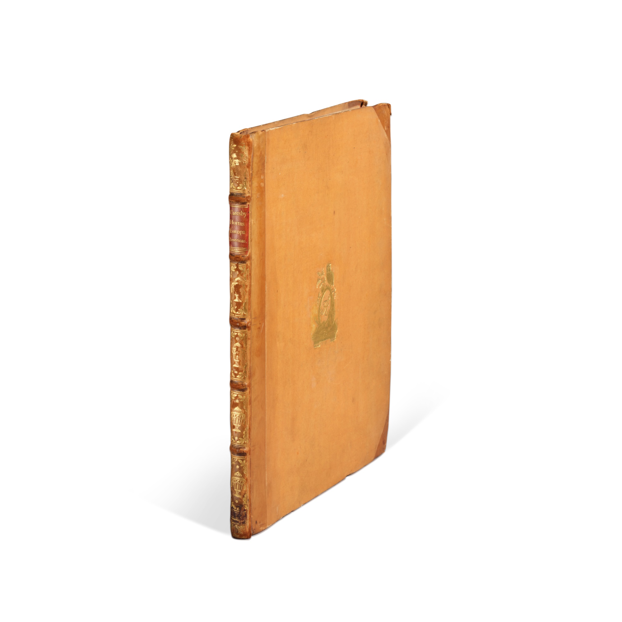 Catesby, Mark | Catesby's collection of "Curious Trees and Shrubs ...