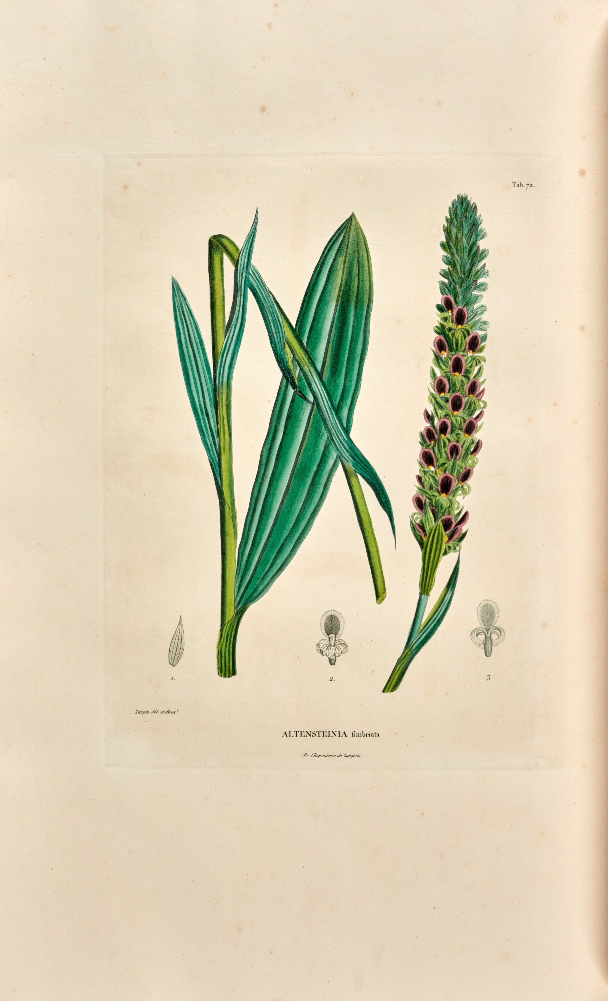 Alexander von Humboldt and Aimé Bonpland | Voyage... Sixième partie ...