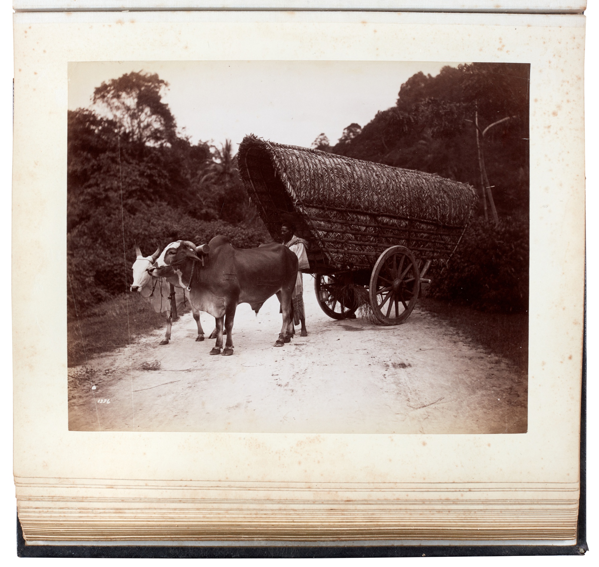 Ceylon | Album of photographs, c. 1860s-1870s | Travel, Atlases, Maps ...