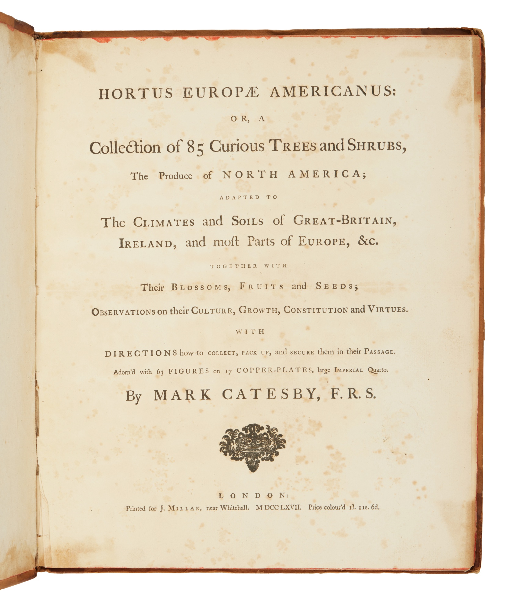Catesby, Mark | Catesby's collection of "Curious Trees and Shrubs ...