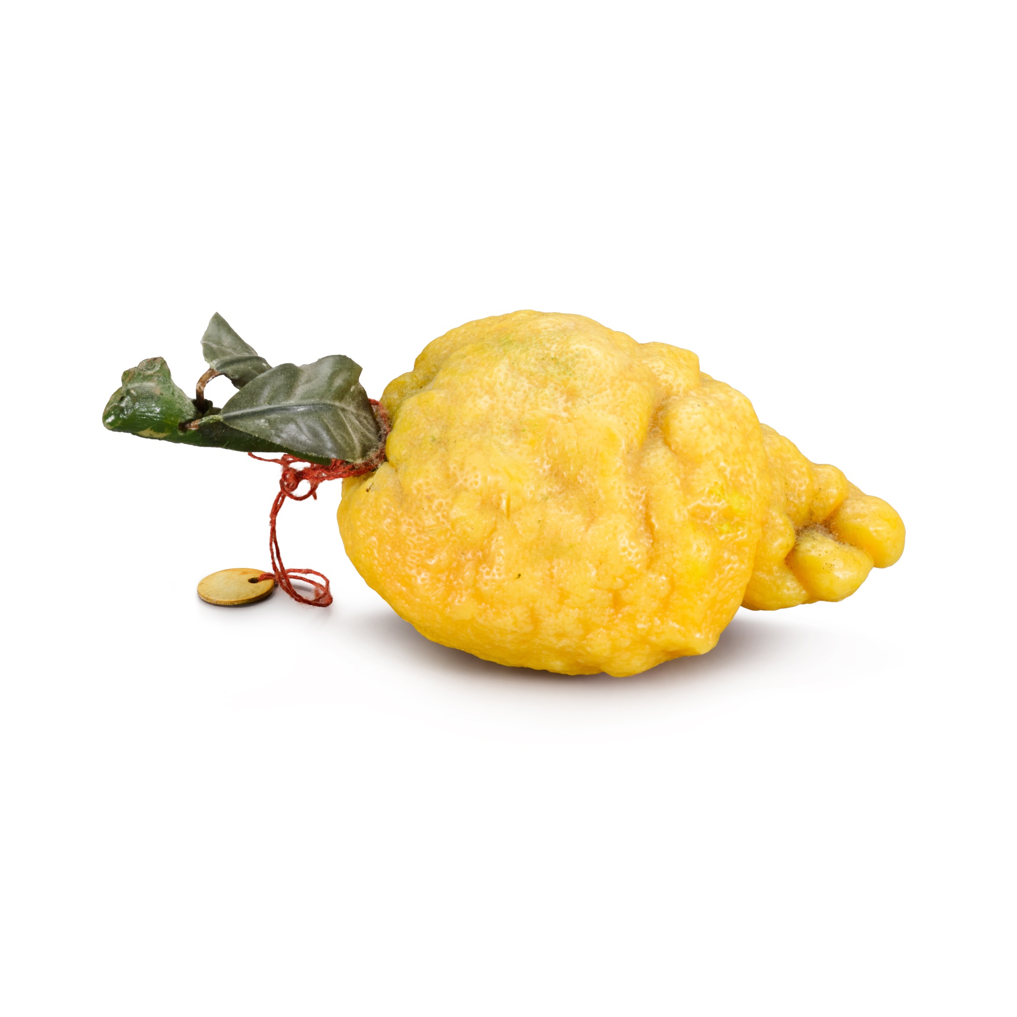 An Italian wax and tole model of a lemon, late 19th/early 20th century ...