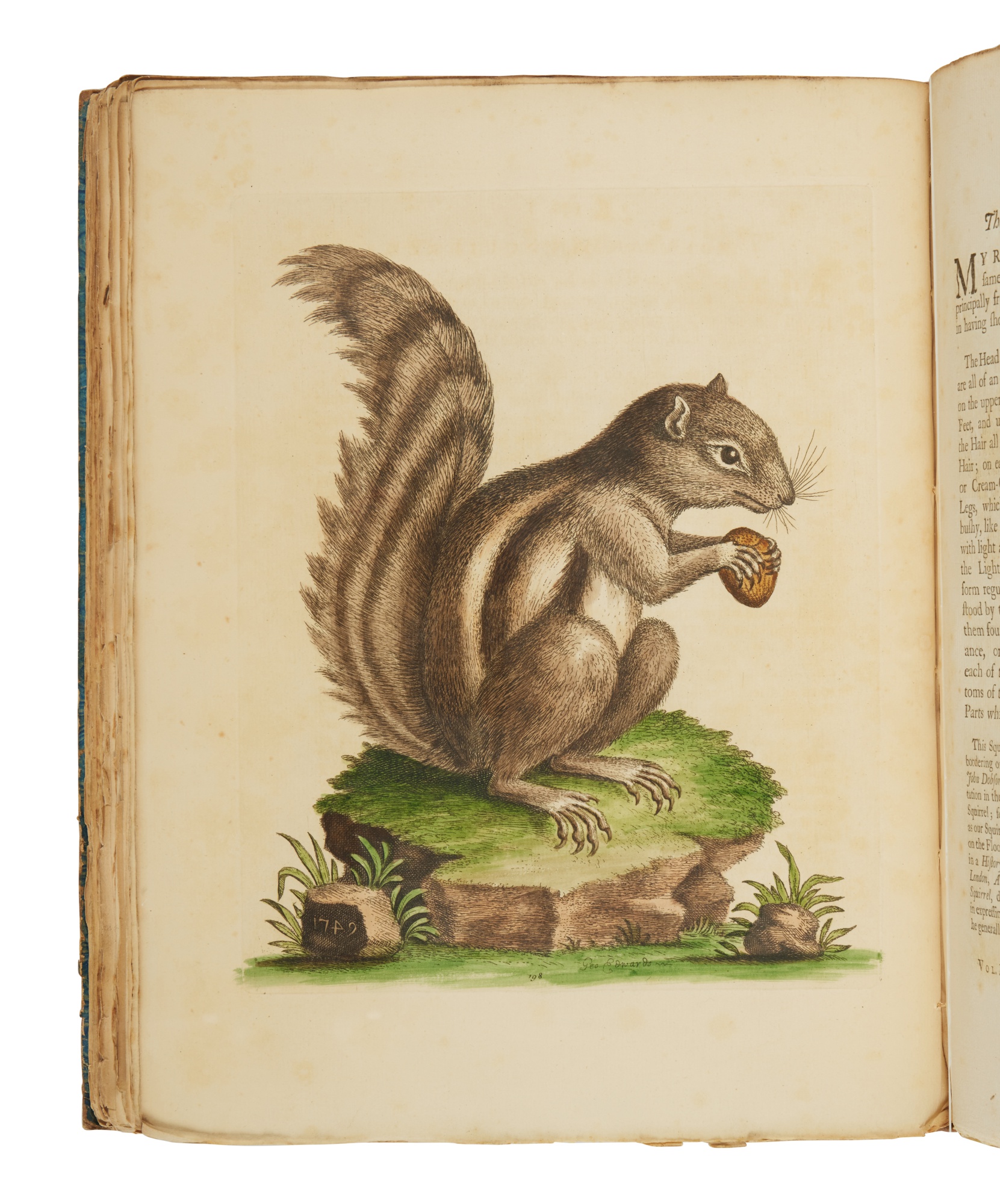 Edwards, George | Georges Cuvier’s set of George Edwards’ fine series ...