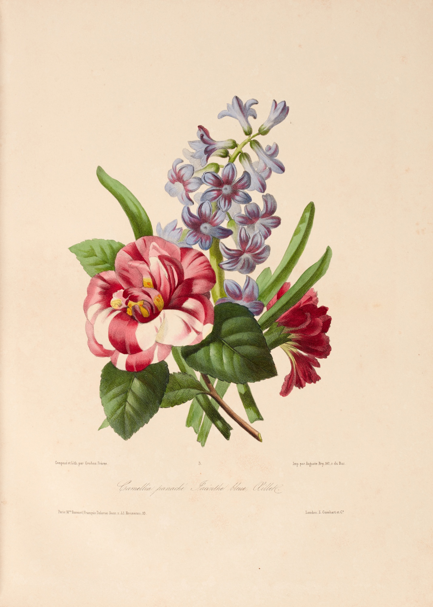 Grobon Frères | Nouvelle collection de bouquets, Paris, [c.1850], green ...