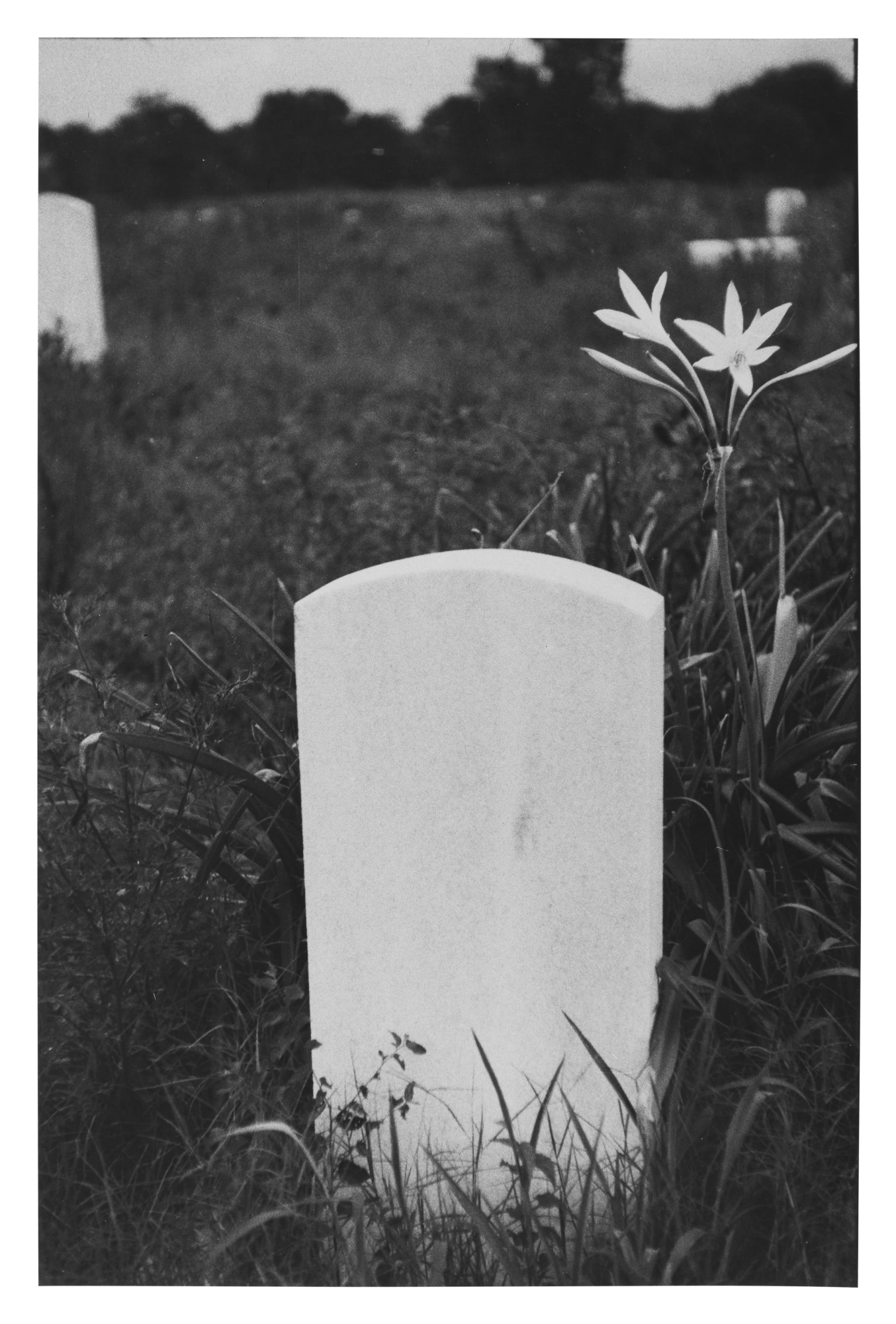 Gravestone | On the Road: Photographs by Robert Frank from the ...