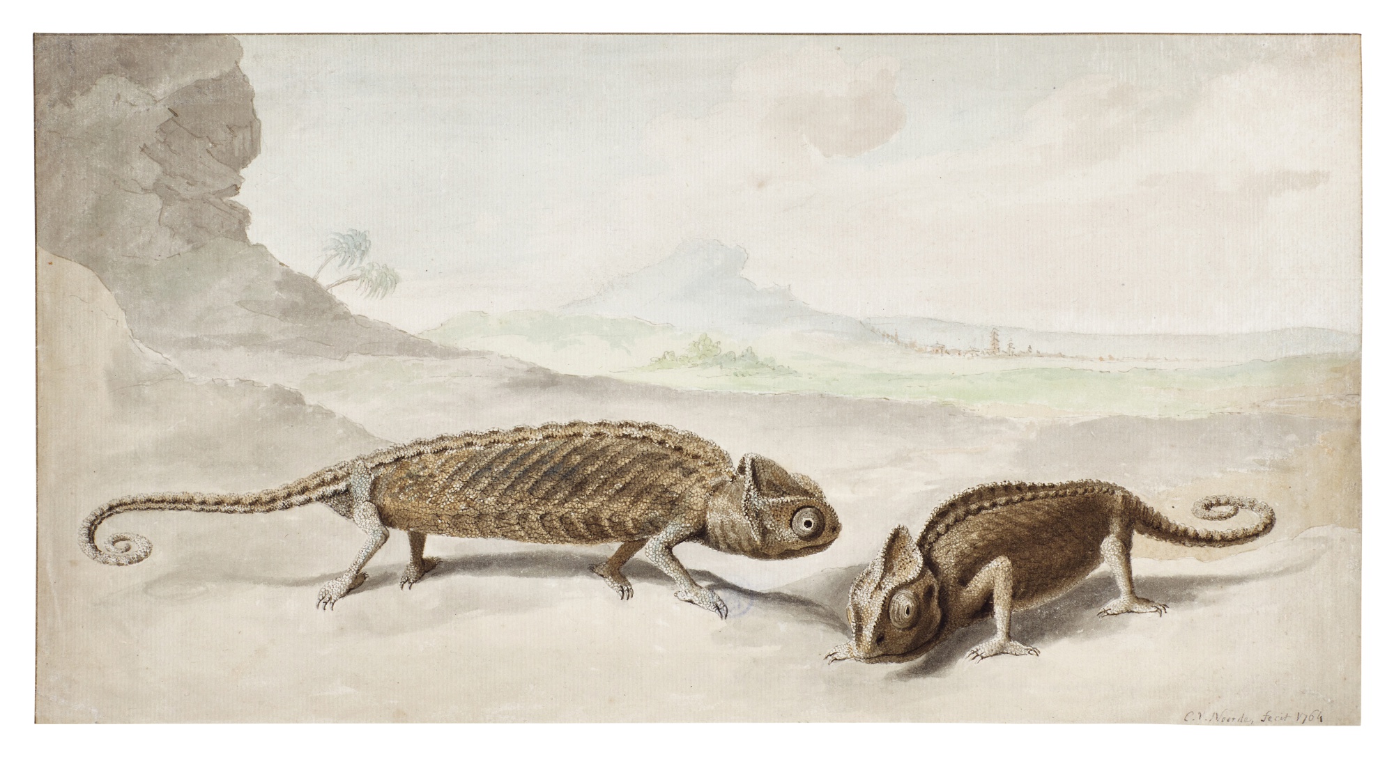 Two chameleons in a landscape | Old Master and British Works on Paper ...