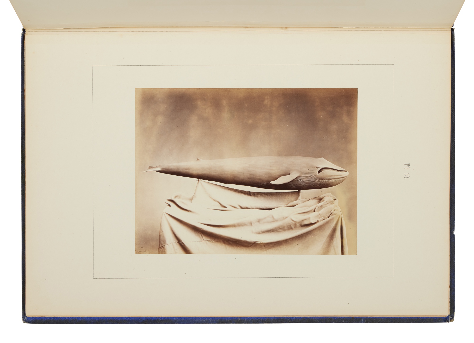 Malm, Auguste Wilhelm | An inadvertent photographic work of art on ...