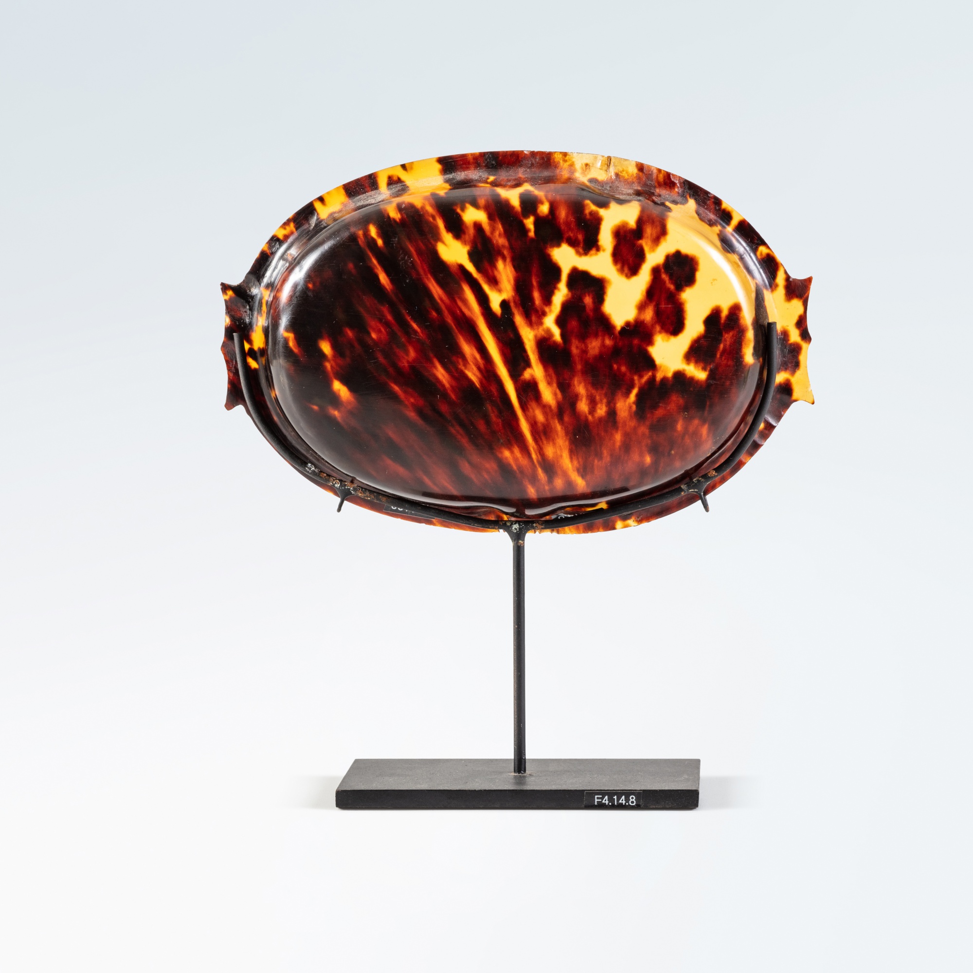 Plat tolúk, Îles Palaos, Îles Carolines | Palaos Islands tolúk Plate ...