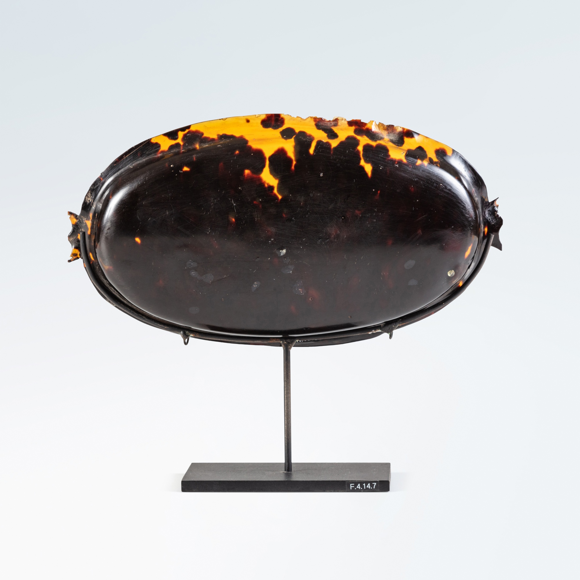 Plat tolúk, Îles Palaos, Îles Carolines | Palaos Islands tolúk Plate ...