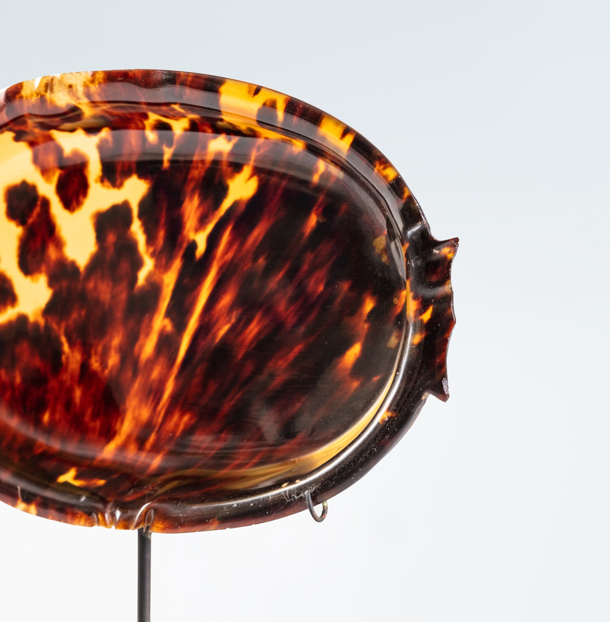 Plat tolúk, Îles Palaos, Îles Carolines | Palaos Islands tolúk Plate ...