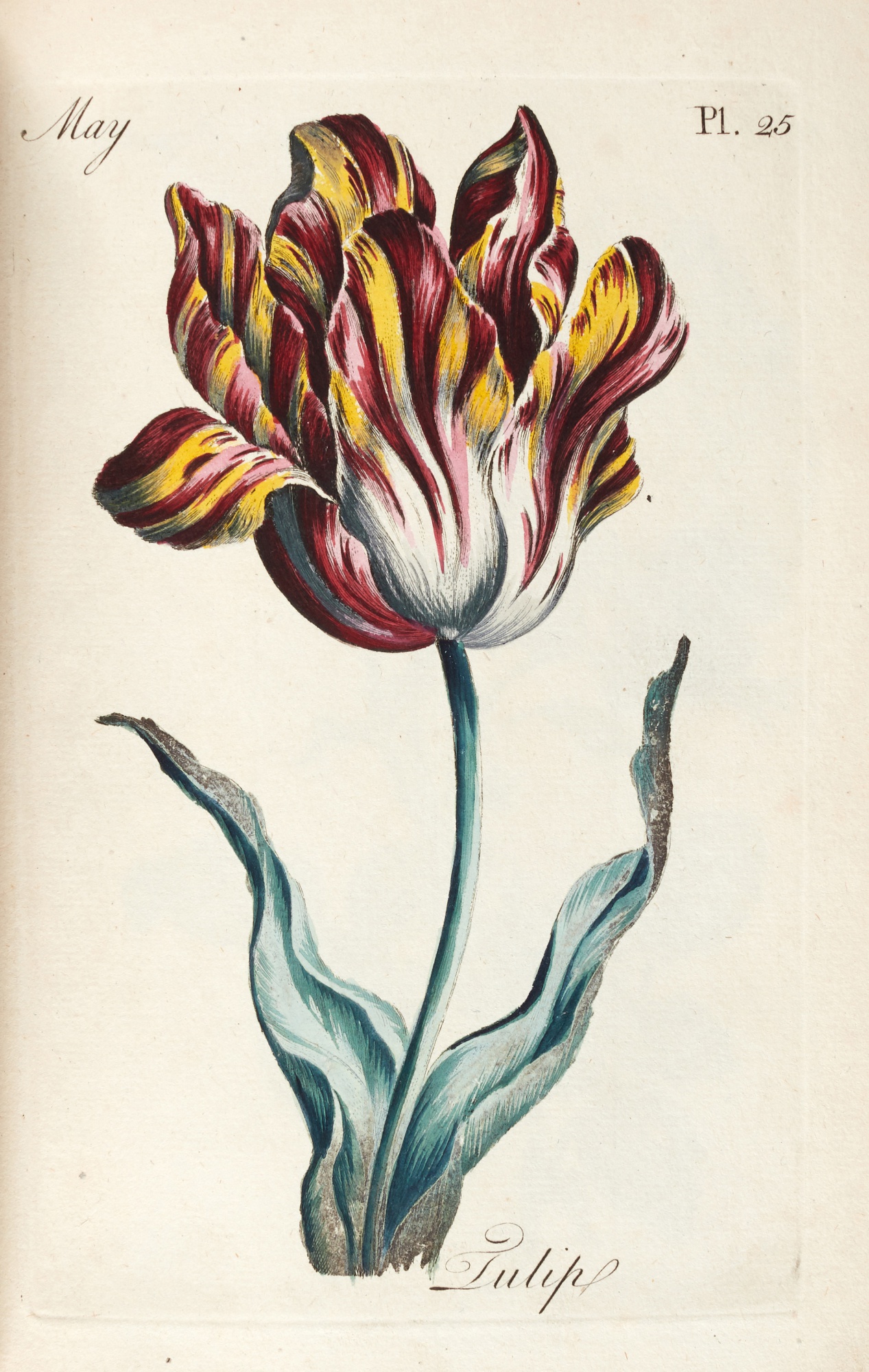 Robert Sayer | The Florist, London, c.1760, contemporary calf | The ...