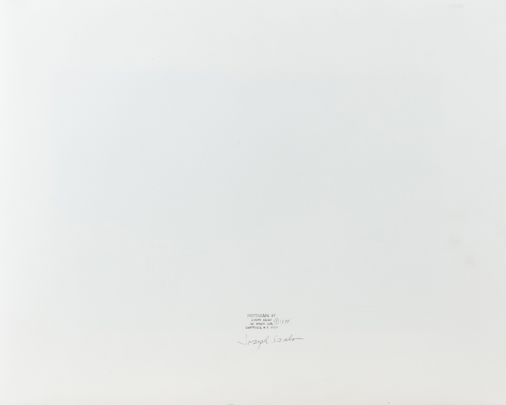 Lifeguard's Dream | Photographs, Including Works from the Collection of ...