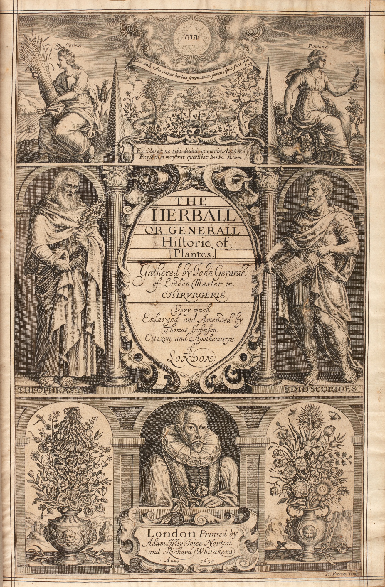 John Gerarde | The herball or generall historie of plantes, London ...