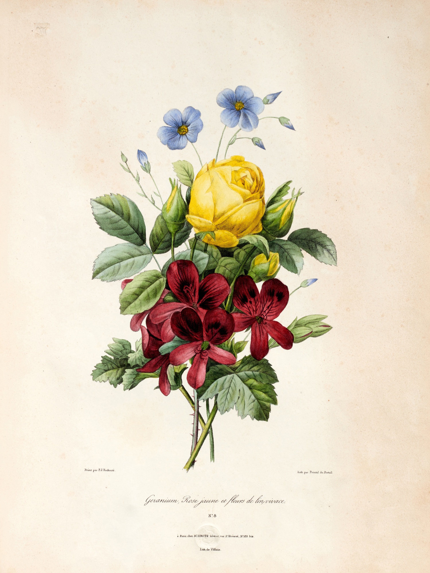 Pierre Joseph Redouté | Bouquet des fleurs, 60 lithographs, no date ...