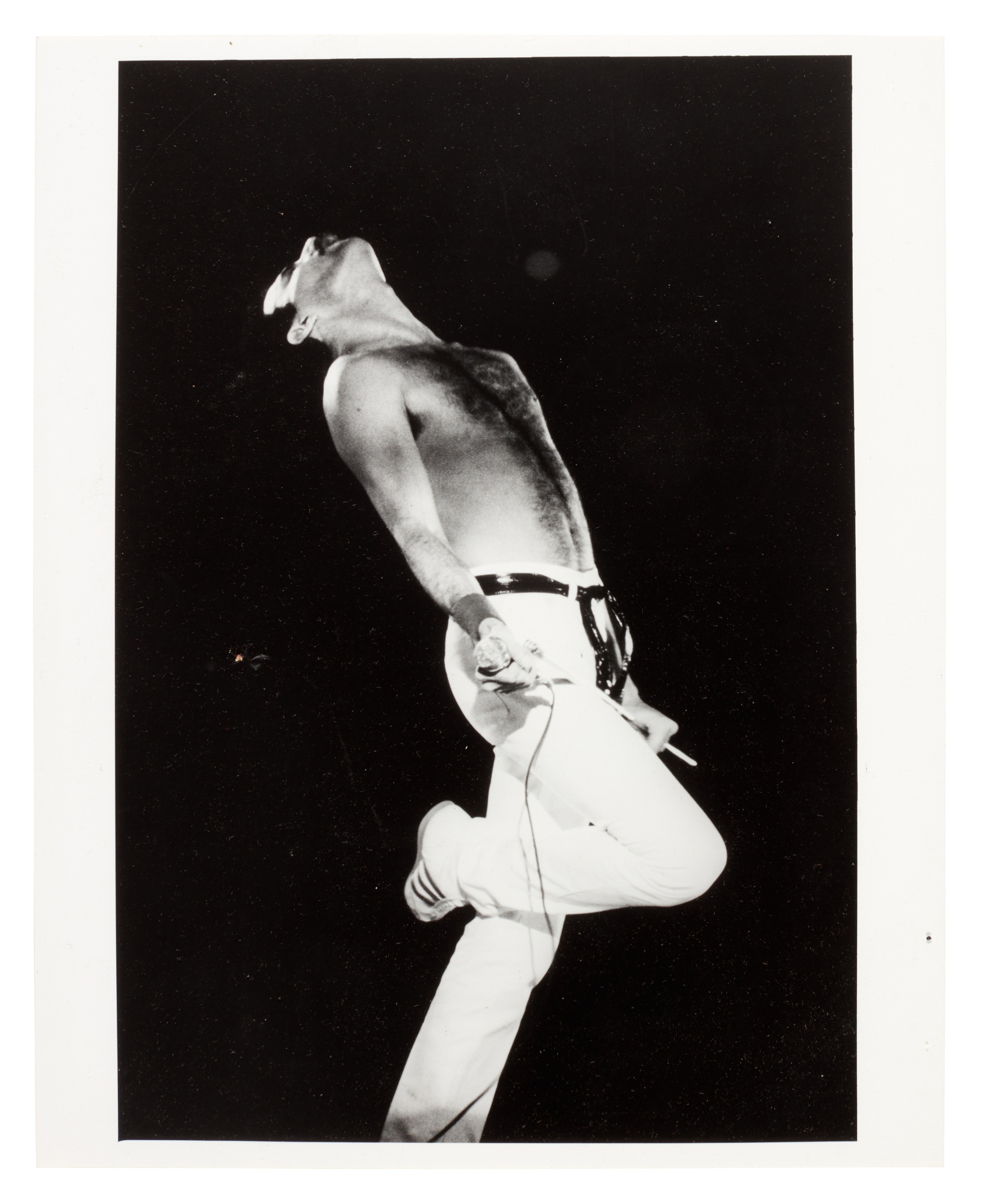 Freddie Mercury | Collection of 23 press shots, 1980-85 | Freddie ...